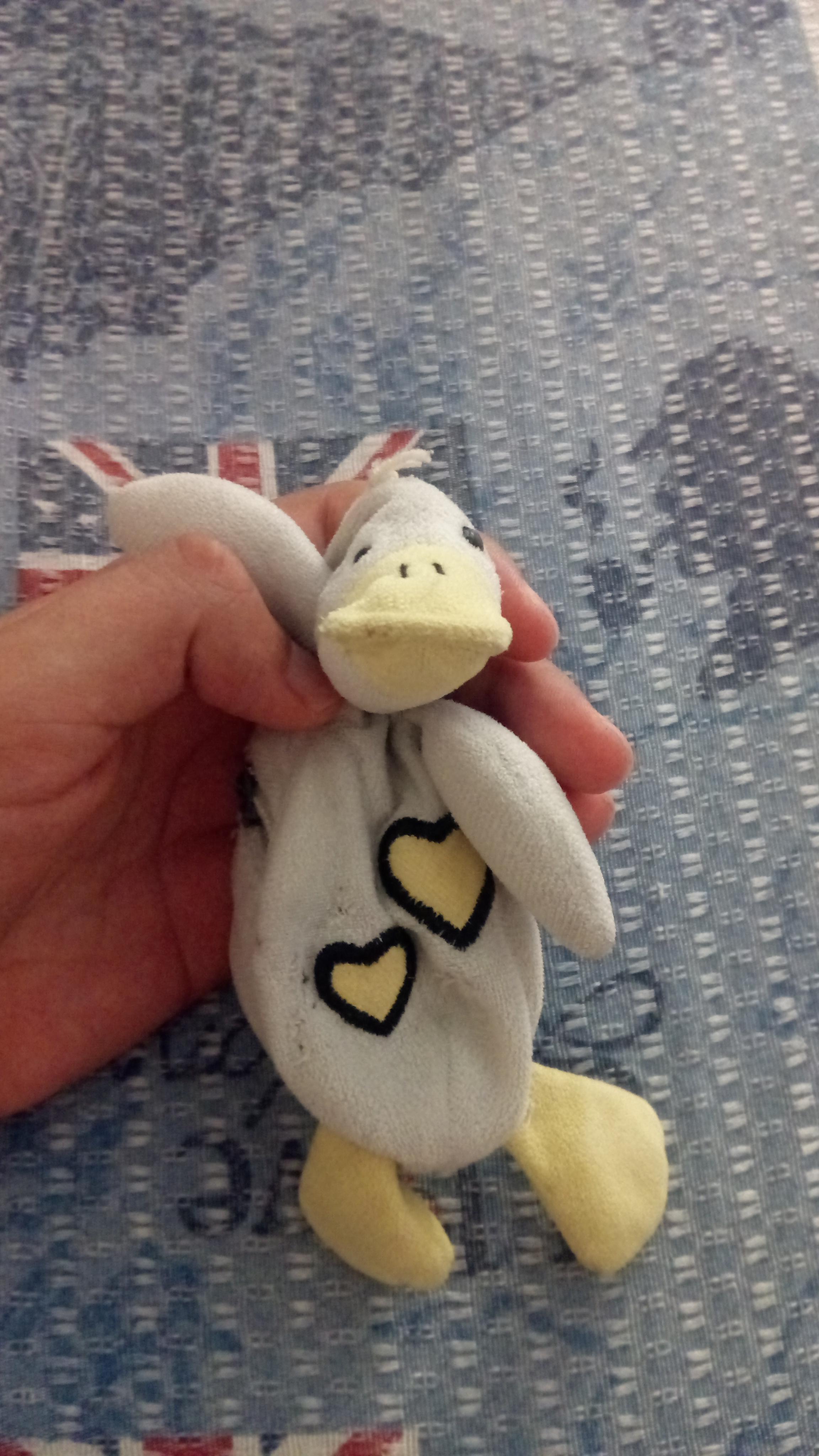 Have you ever seen thin duck? | Scrolller