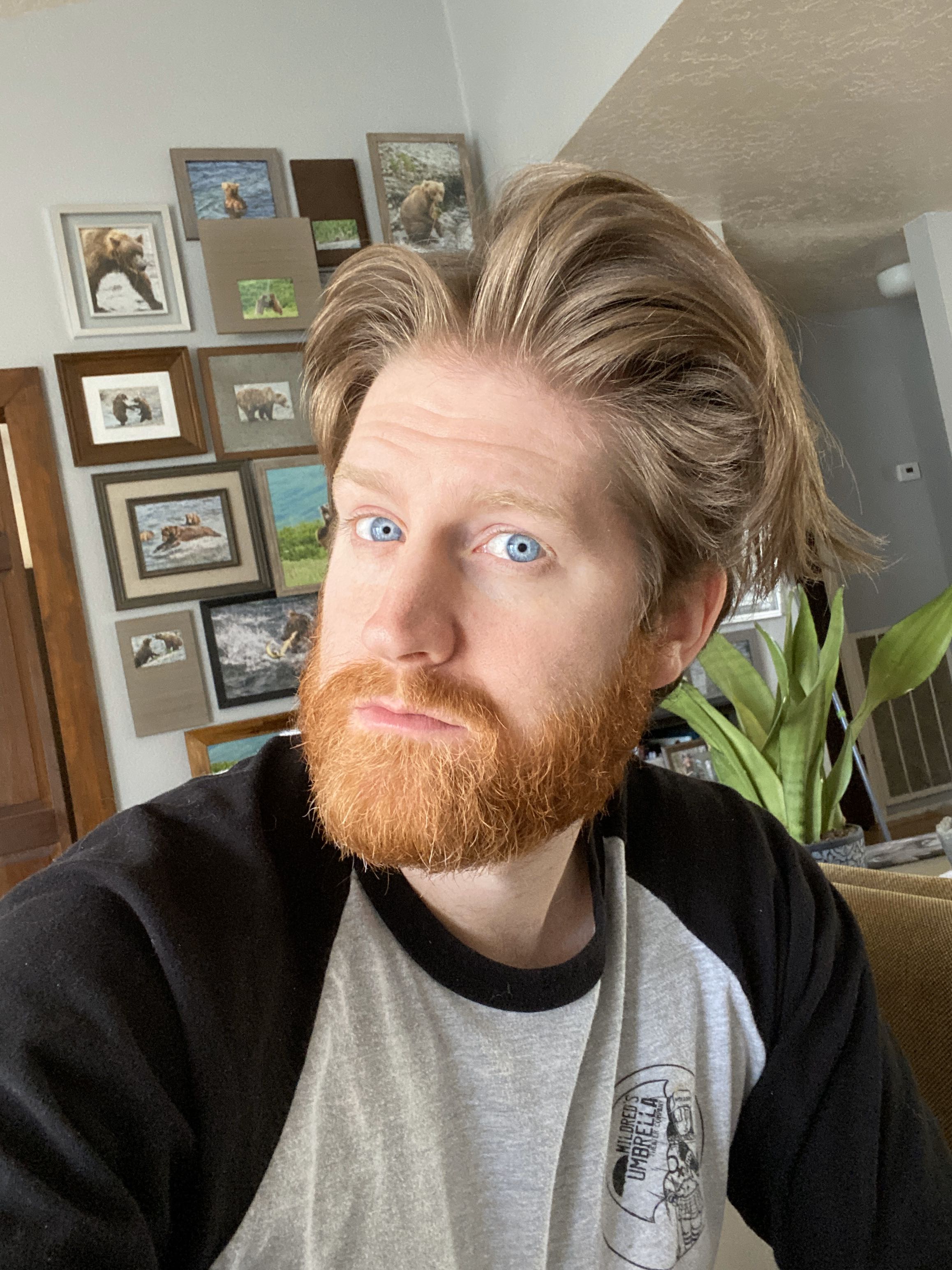 Haven’t seen my barber since March 6th | Scrolller