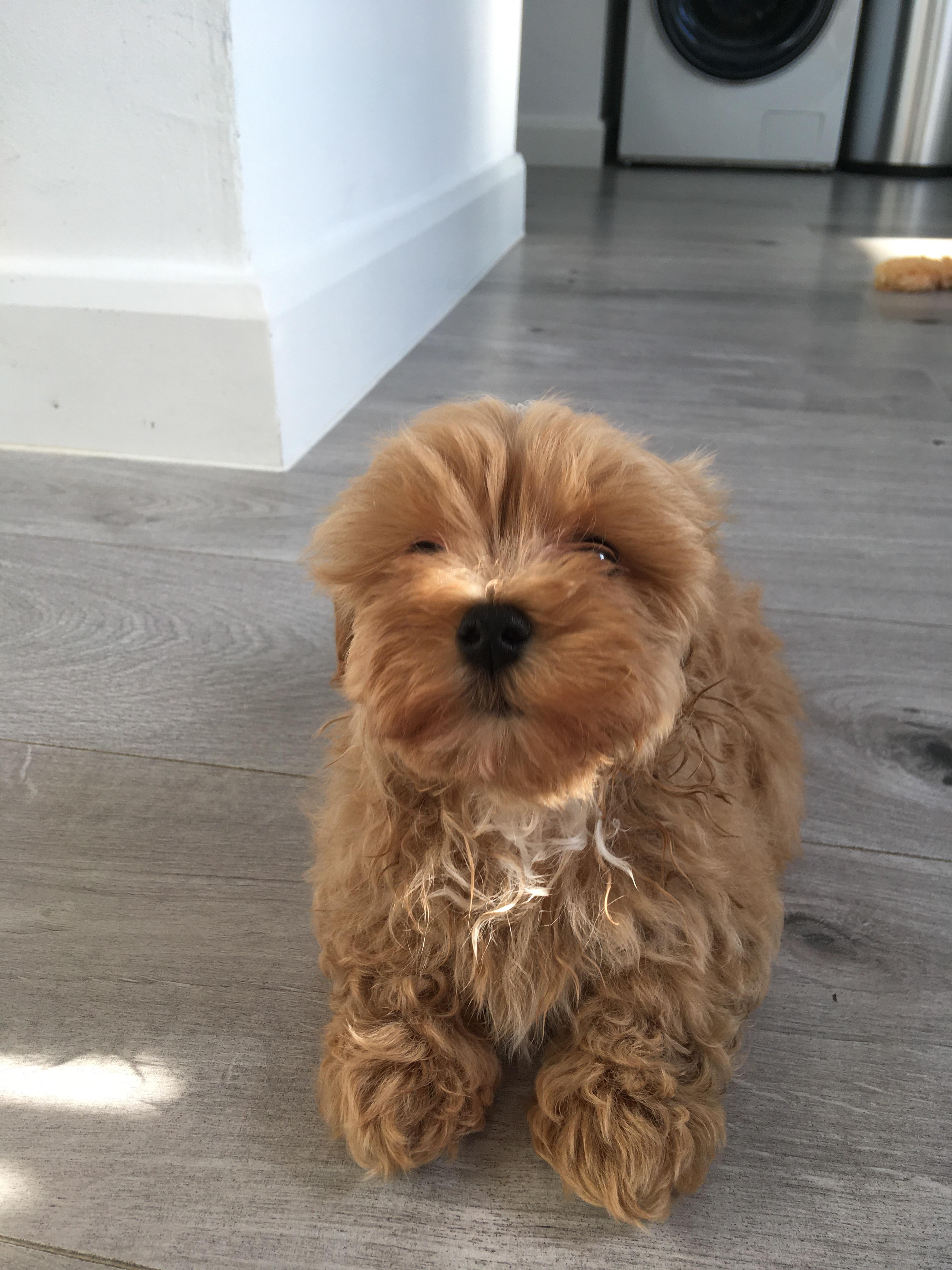 Havi’s First Successful Bath | Scrolller