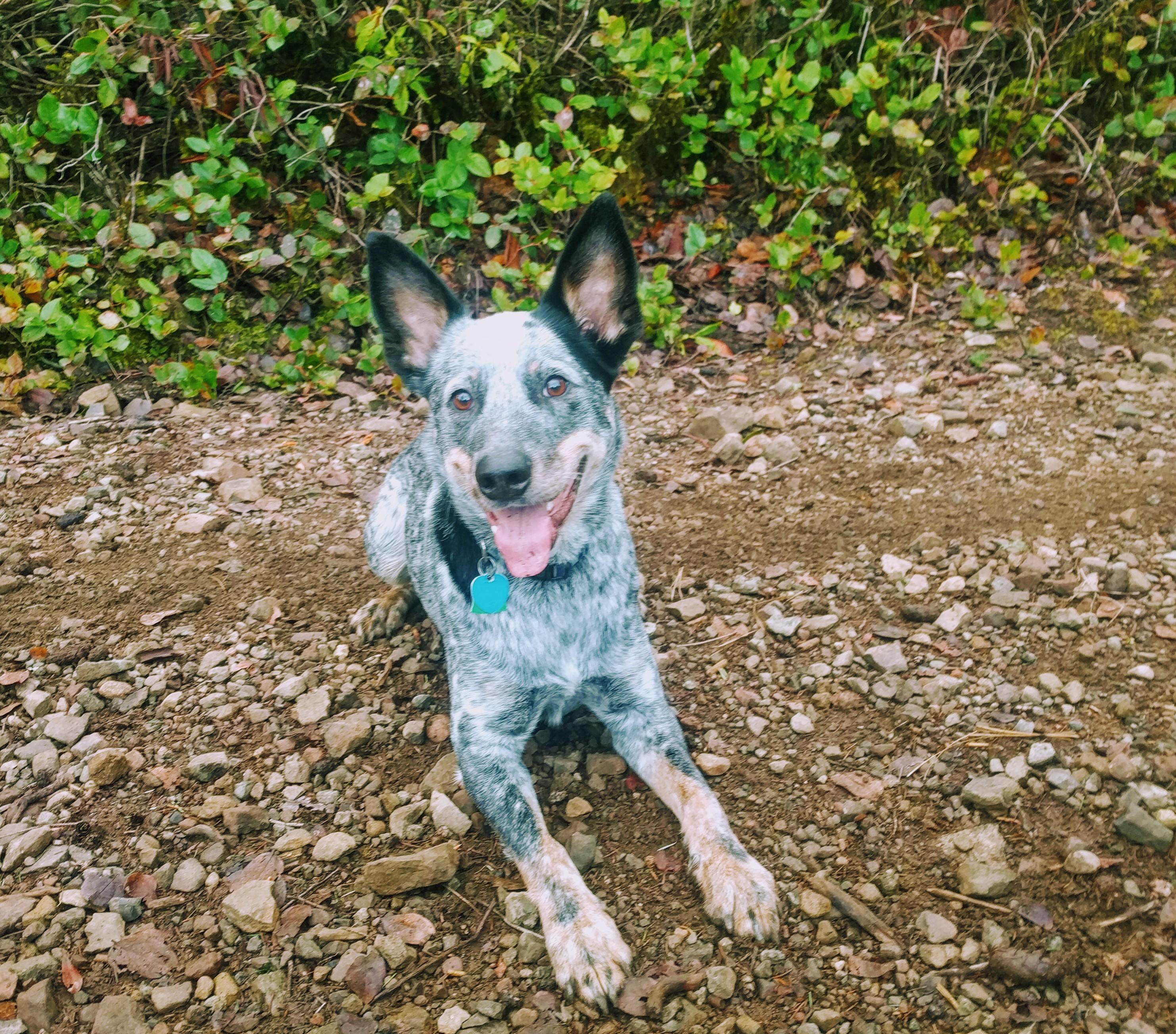 He doesn't take hikes too seriously | Scrolller