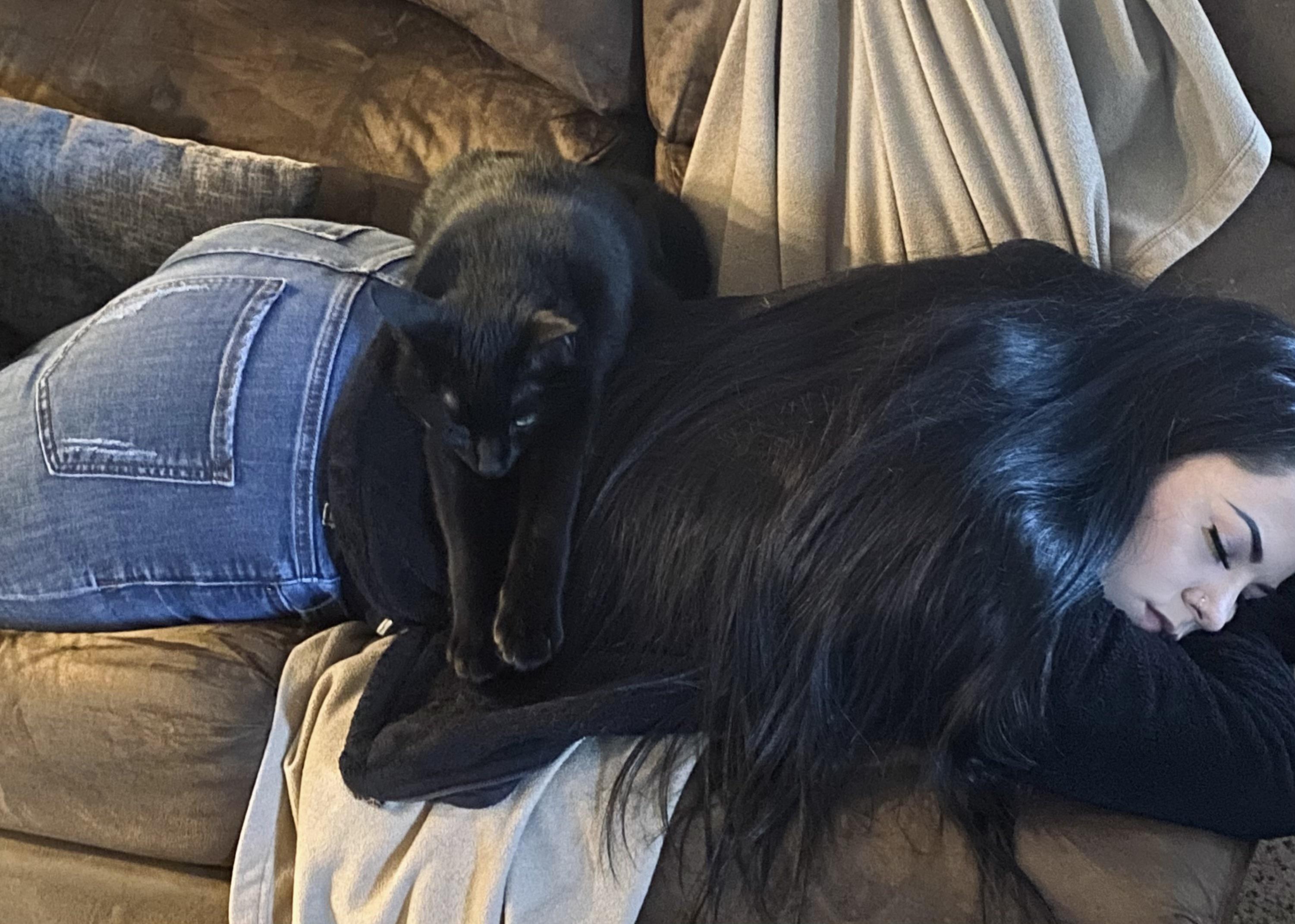 He Falls Asleep Wherever I Fall Asleep Scrolller