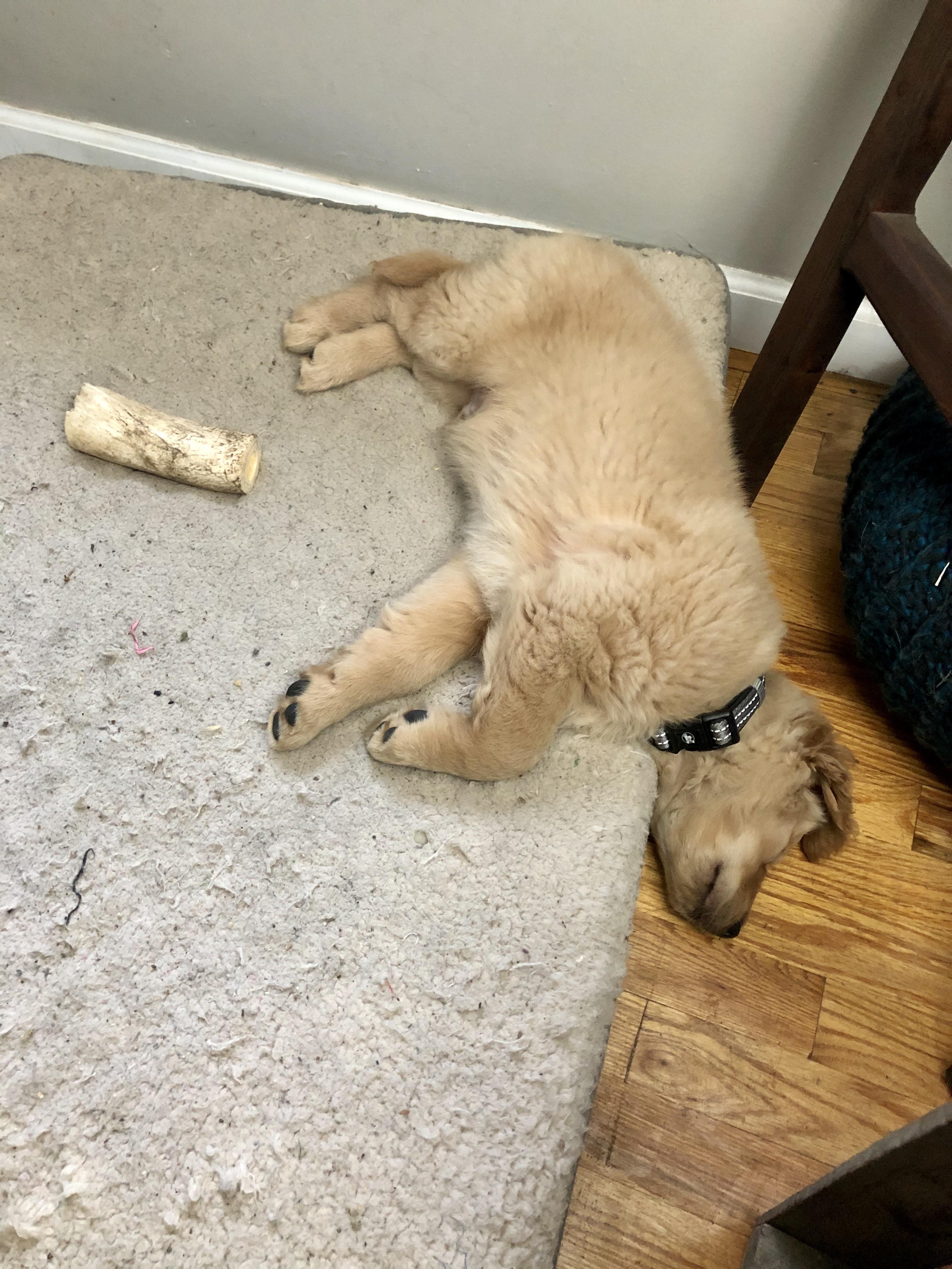 He goes from 60 to 0 in not time flat | Scrolller