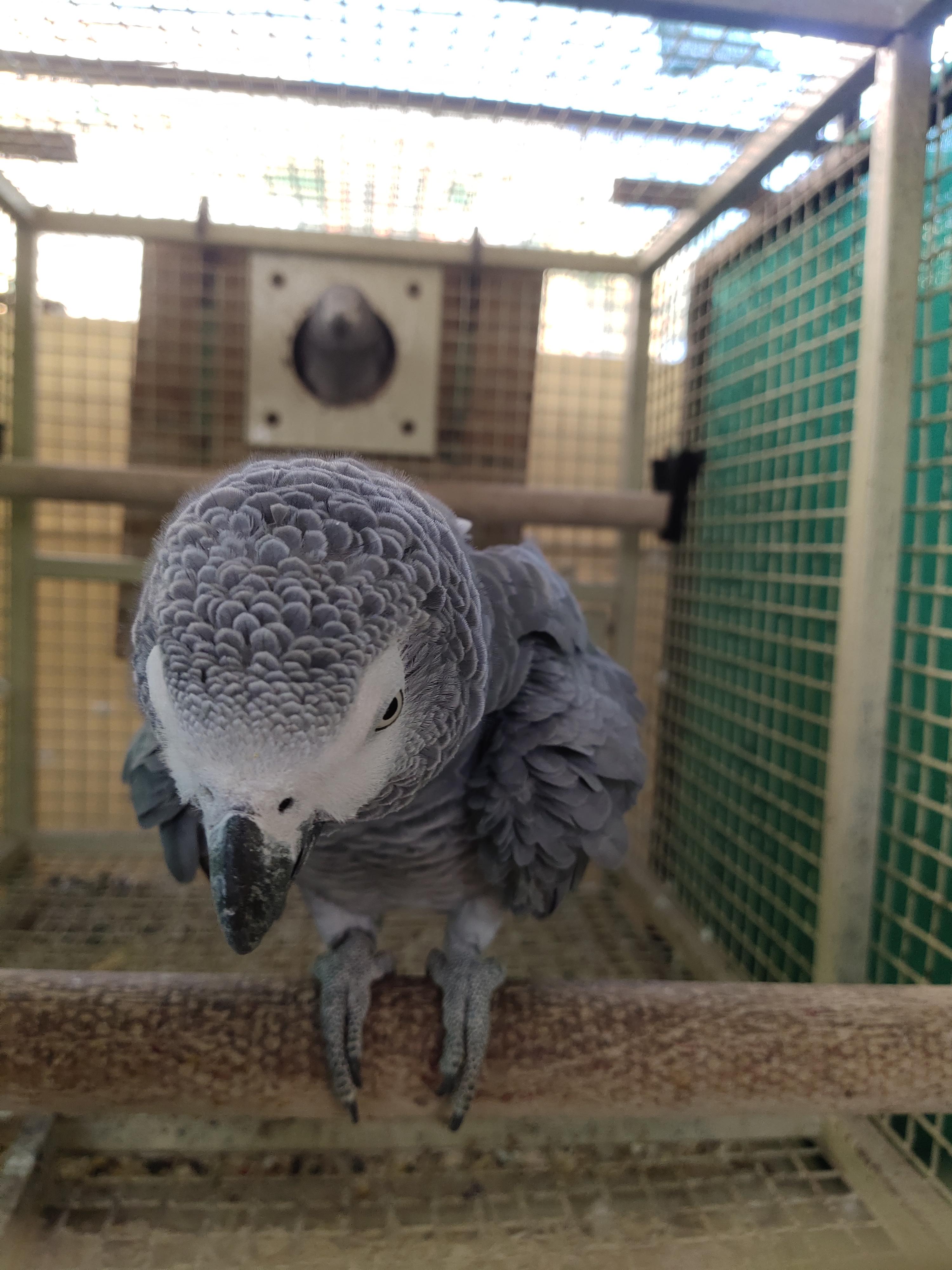 He is always angry | Scrolller