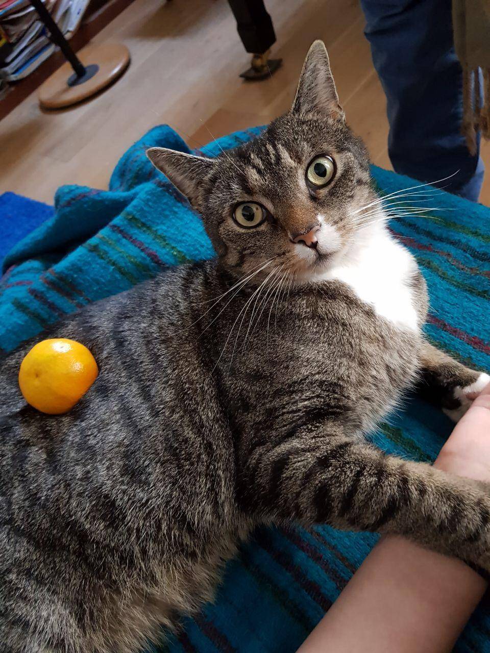 He looks quite startled | Scrolller