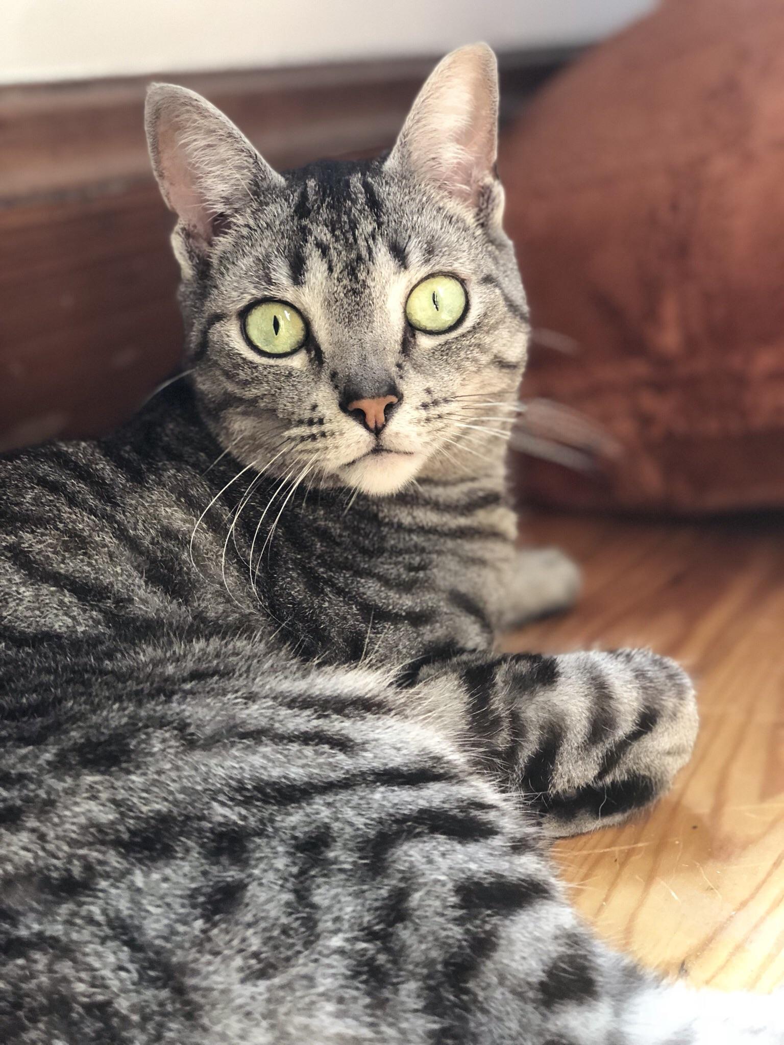 He’s always on alert | Scrolller