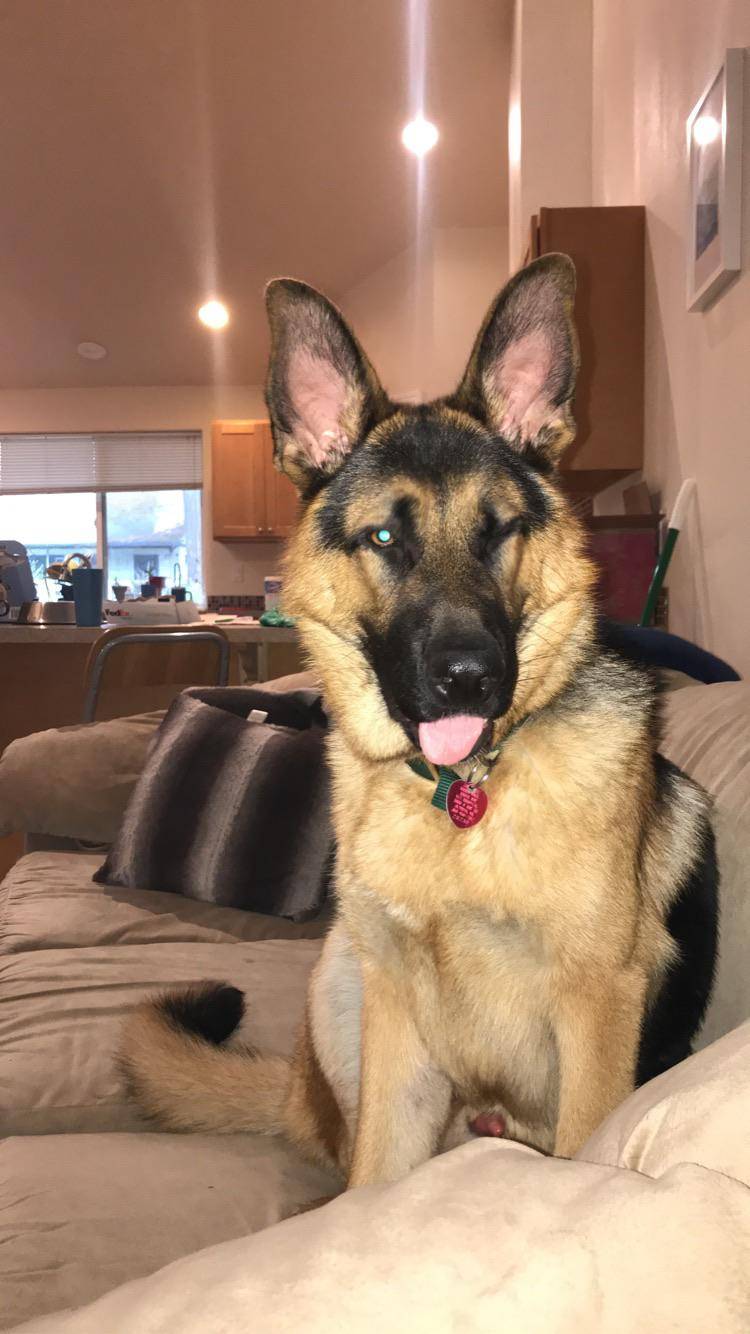 He’s camera shy | Scrolller