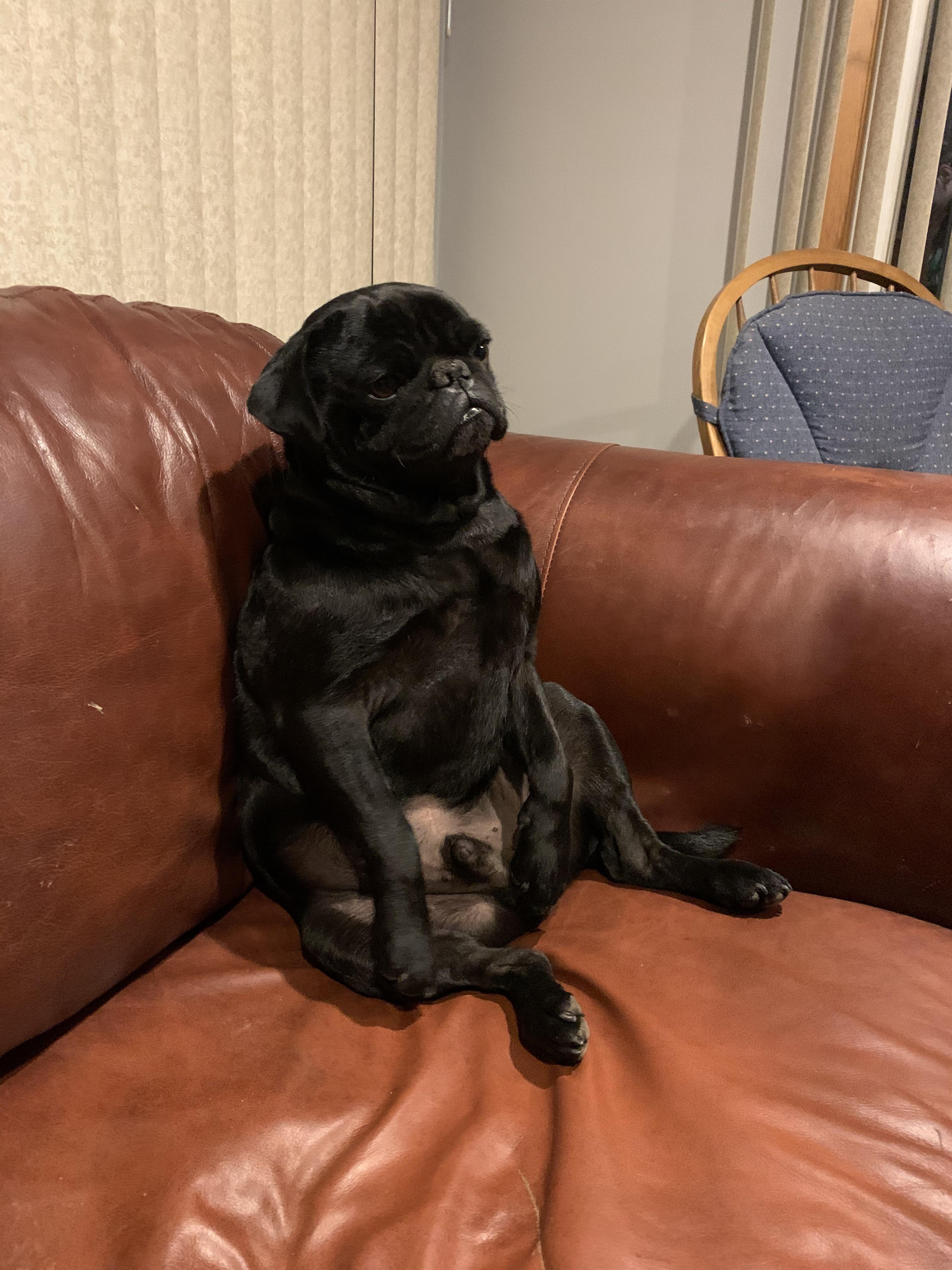 He’s not amused | Scrolller