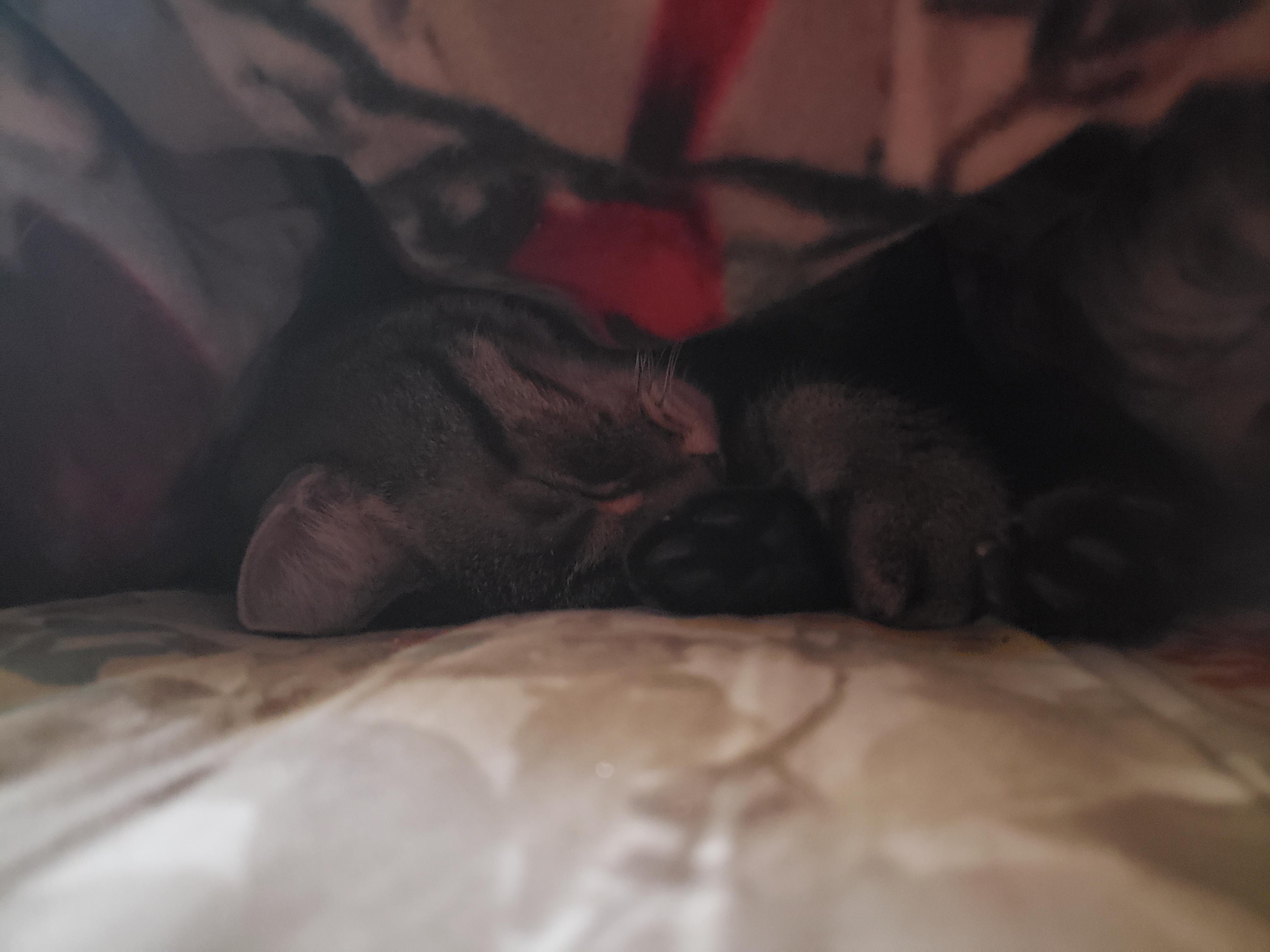 He sleepin | Scrolller