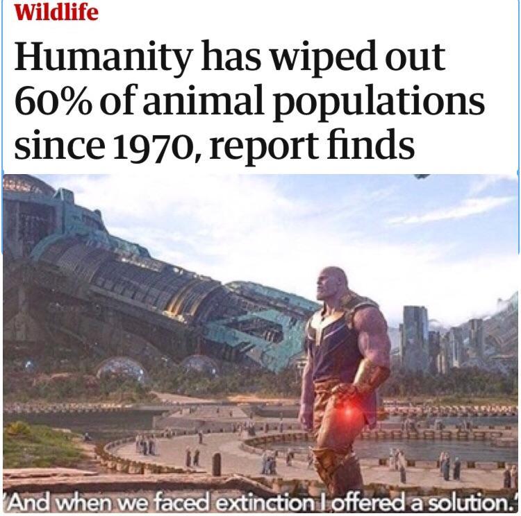 He truly did nothing wrong | Scrolller