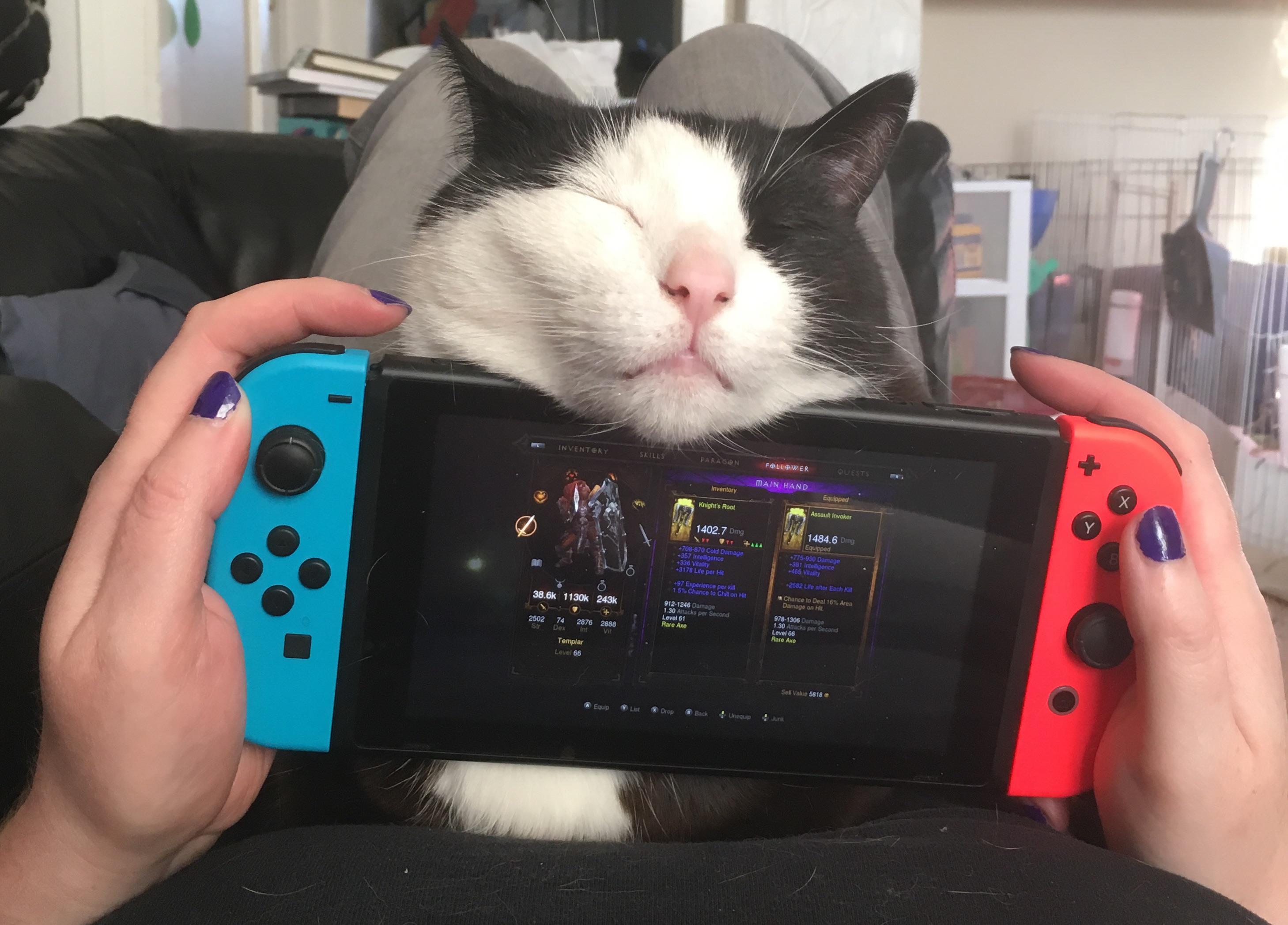 He wanted to snuggle but was willing to compromise | Scrolller