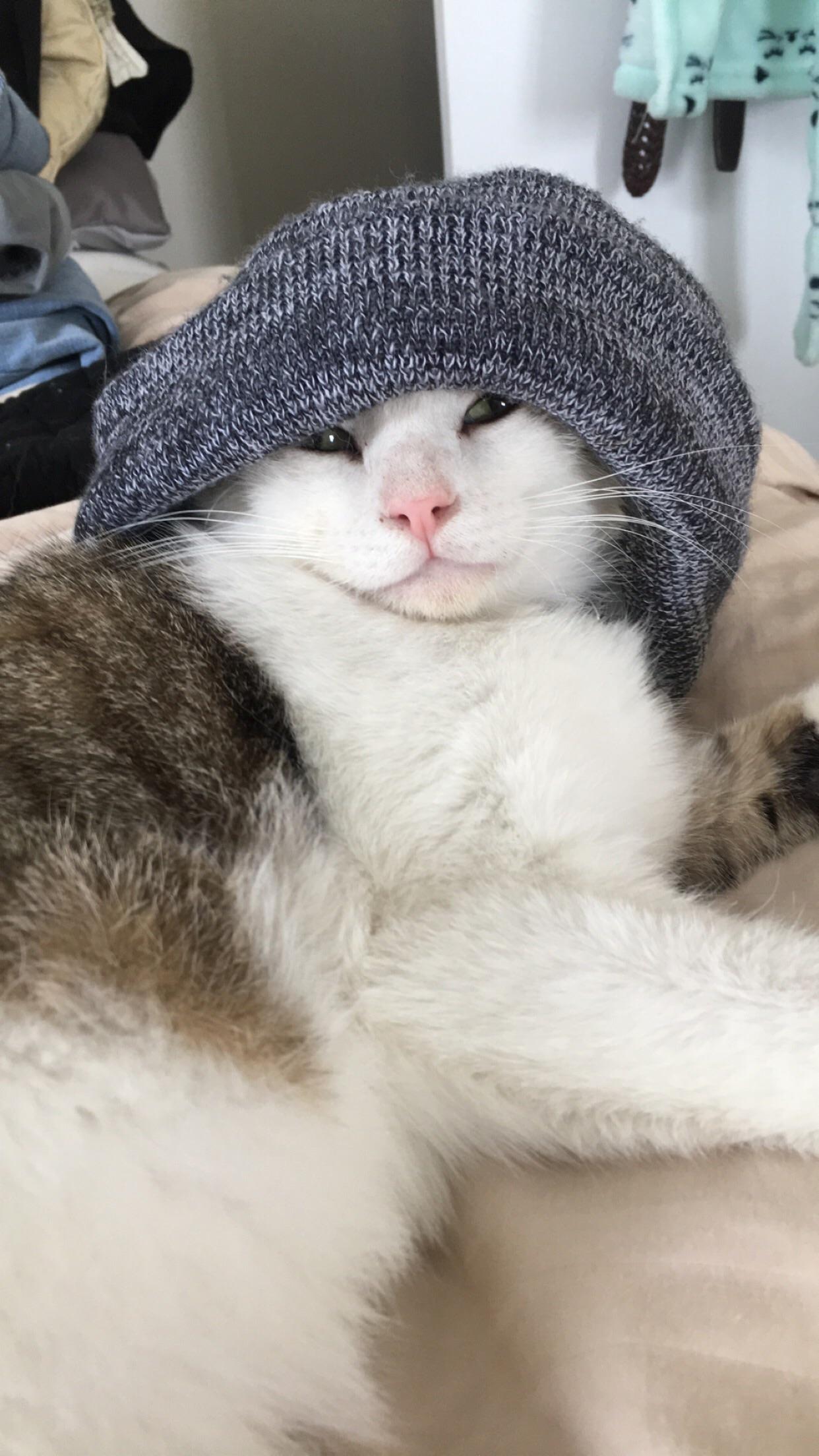 He Was A Skater Boy Scrolller 2886