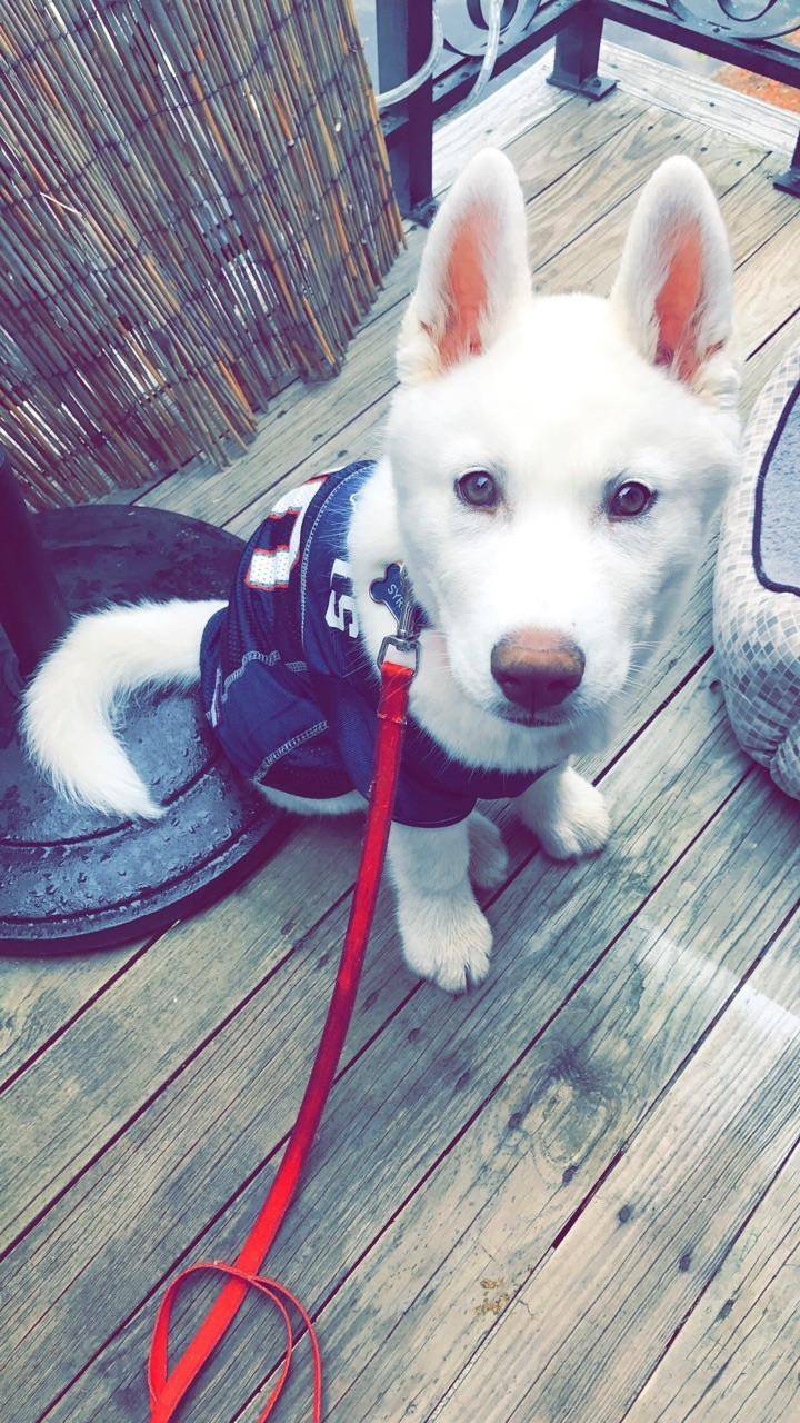 He was so teeny tiny | Scrolller