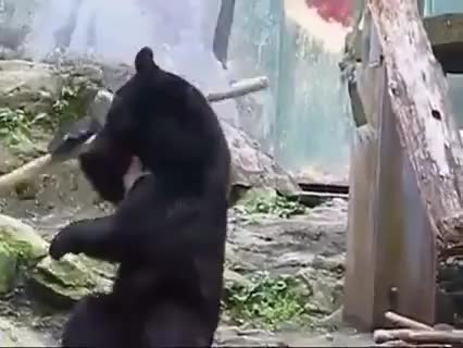 He Watched Too Many Kung Fu Movies Growing Up | Scrolller