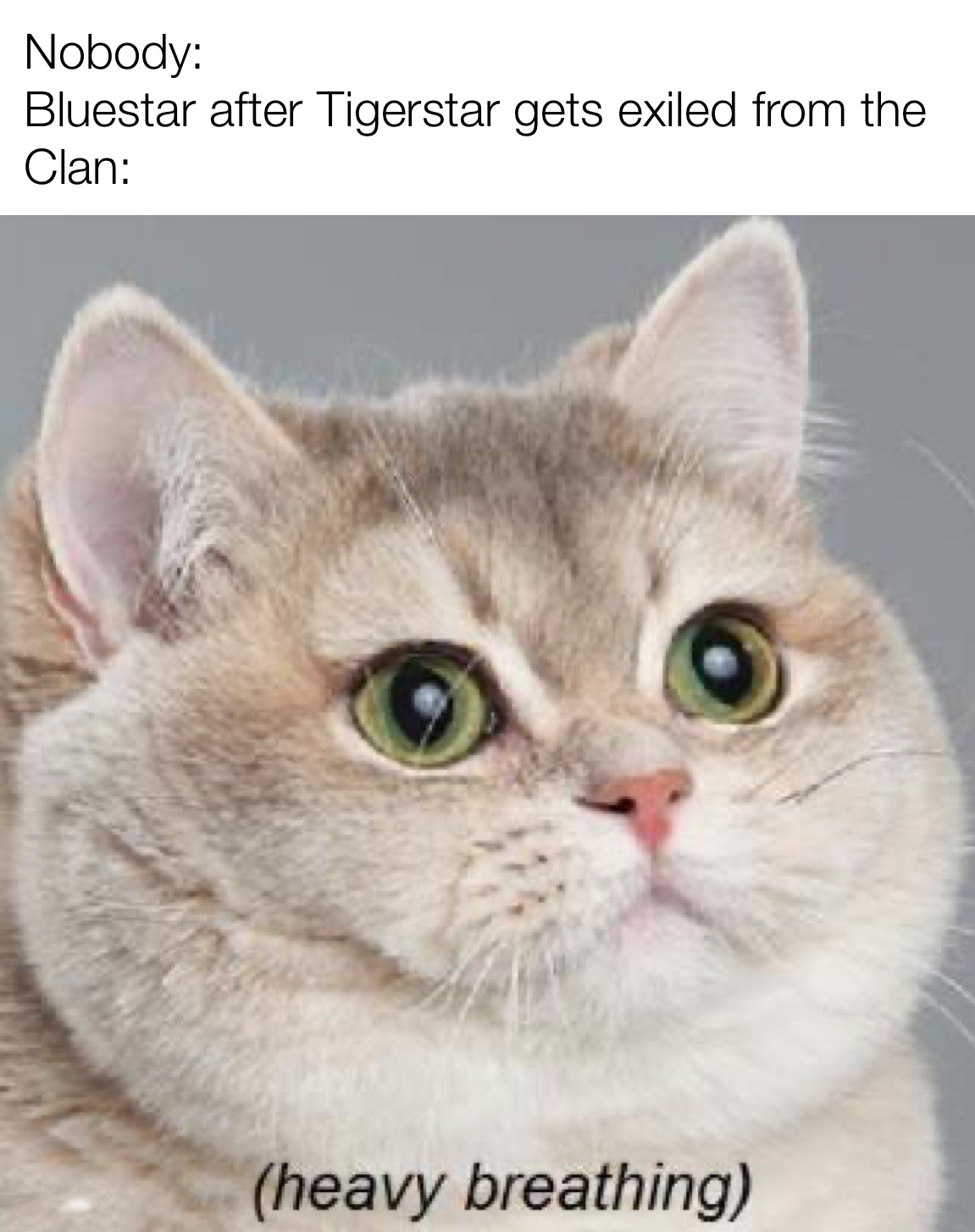 (Heavy Breathing) | Scrolller