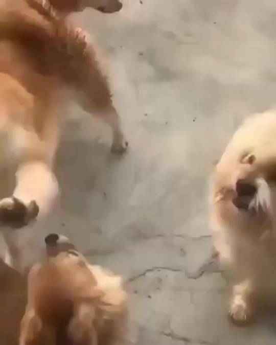 Hecking Startled!!! | Scrolller