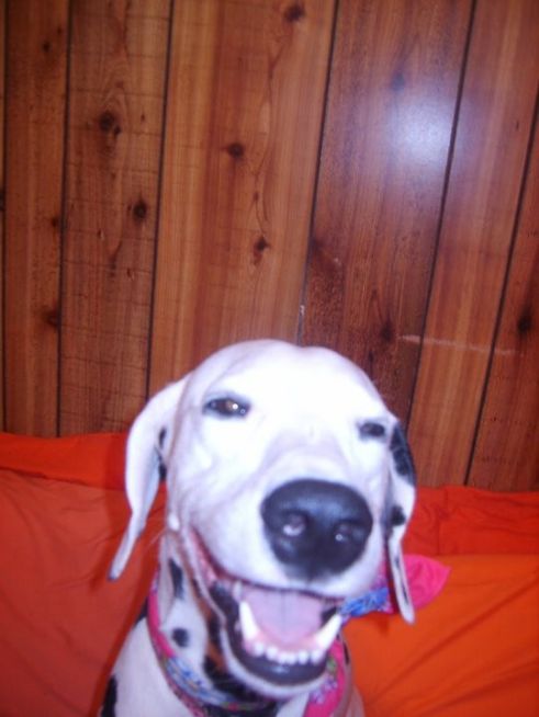 Heh hee hee! | Scrolller