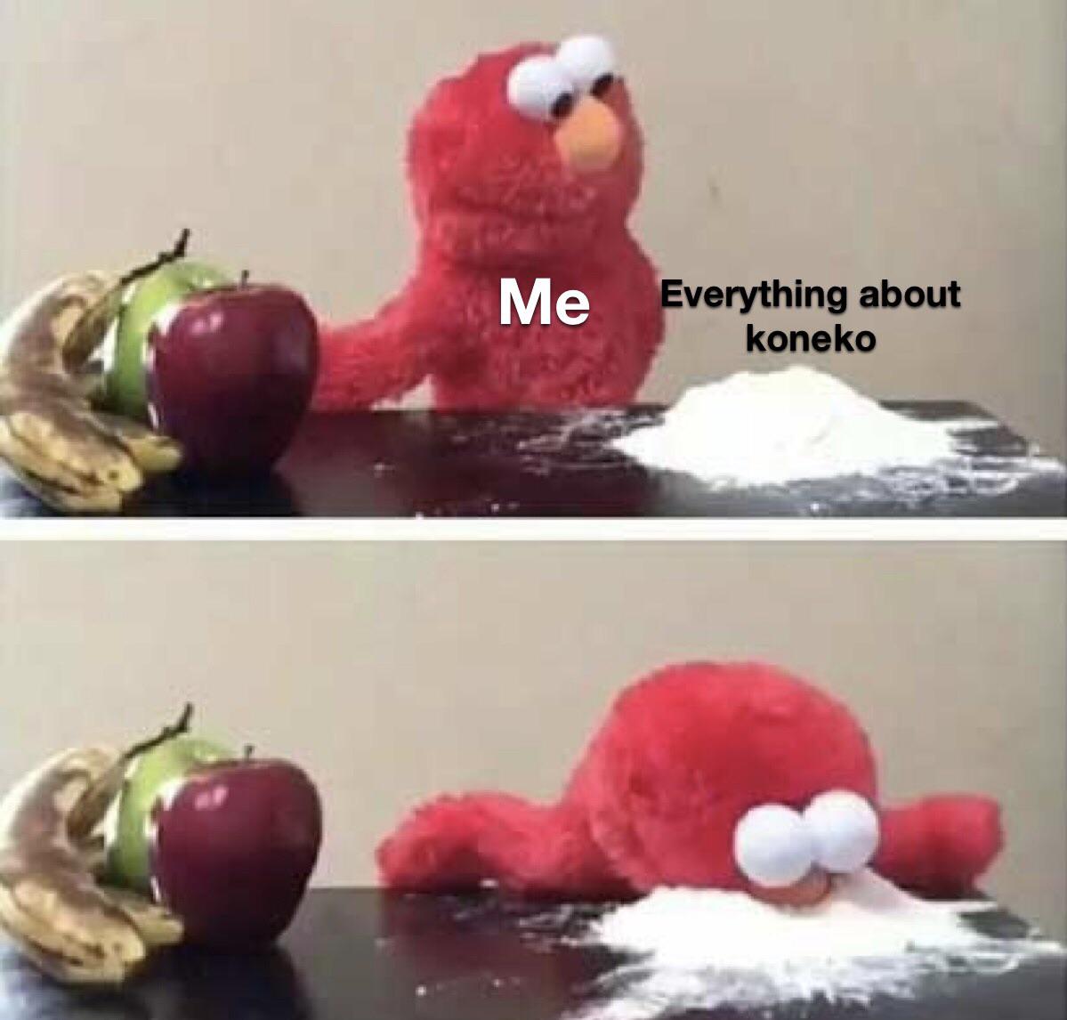 Hehe, koneko memes me go brrr | Scrolller