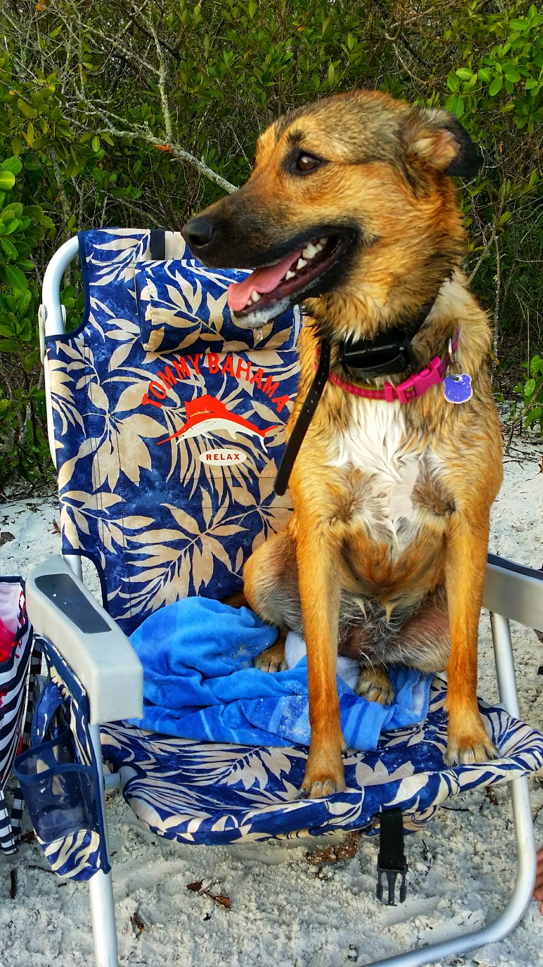Heidi loves her new beach chair | Scrolller