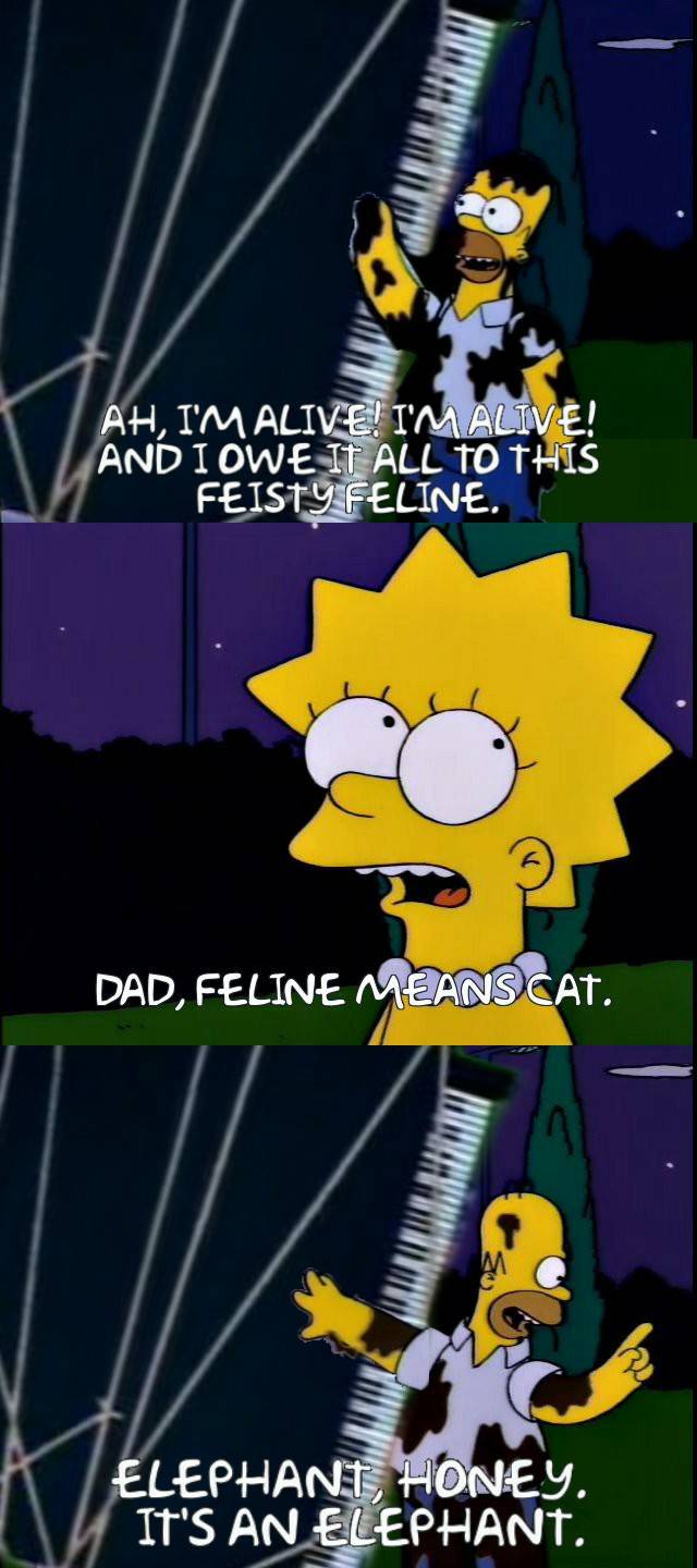 He'll make a grand shitpost! | Scrolller