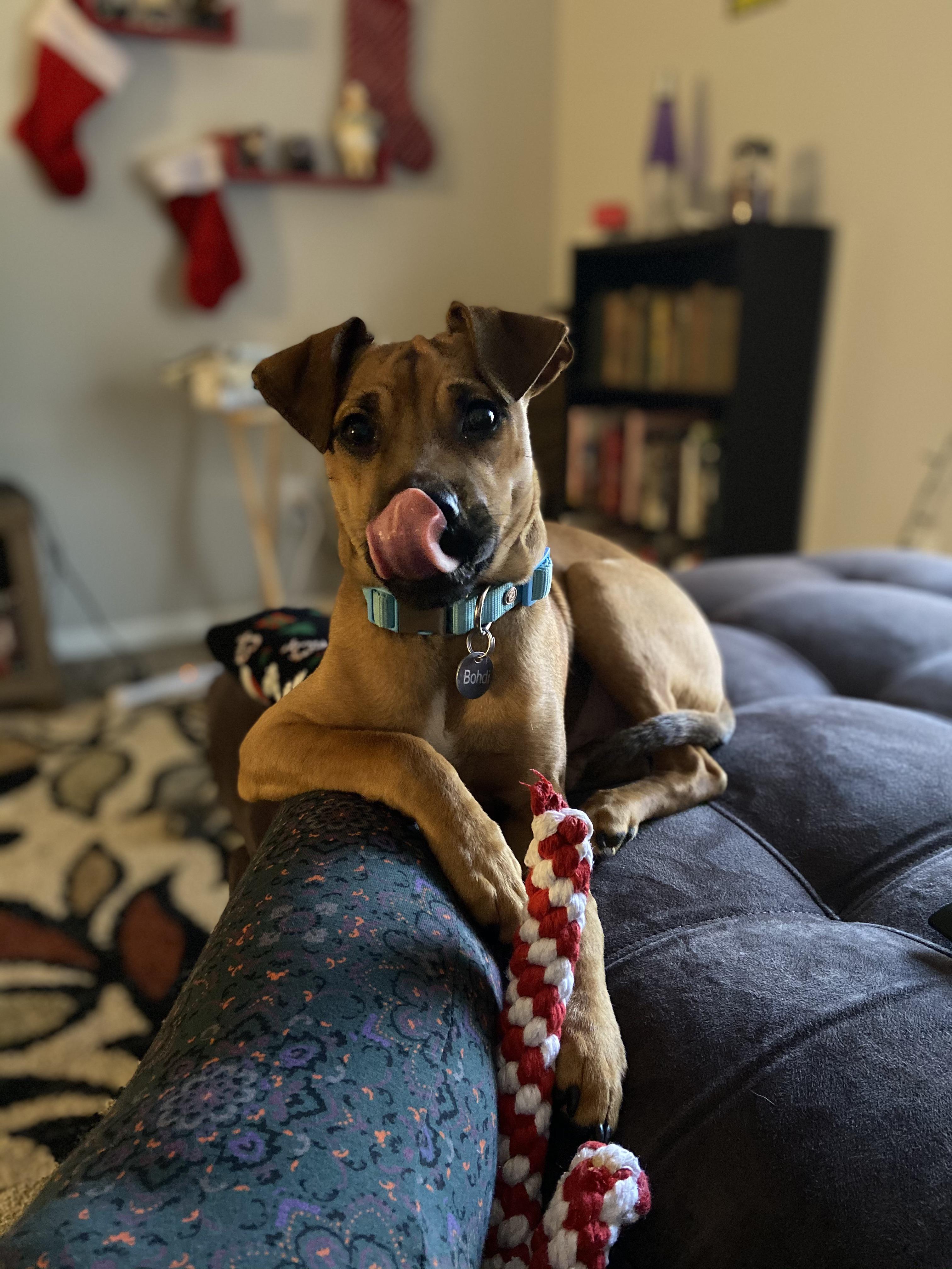 Hello! I turned six months old today! | Scrolller