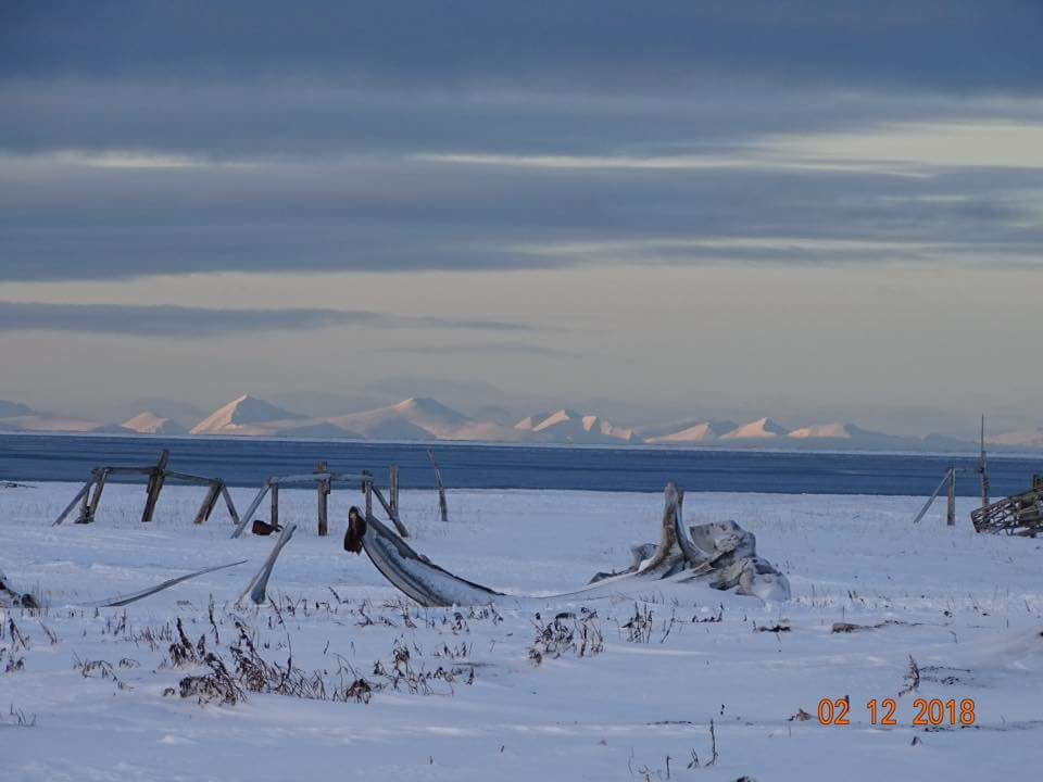 привет сосед! Hello neighbor! | Scrolller