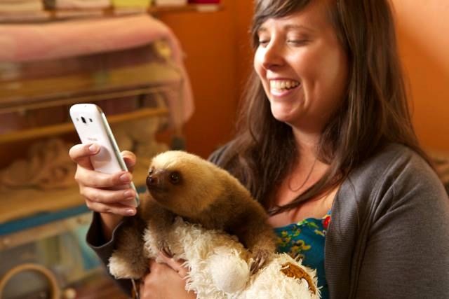 "Hello, this is Sloth" | Scrolller