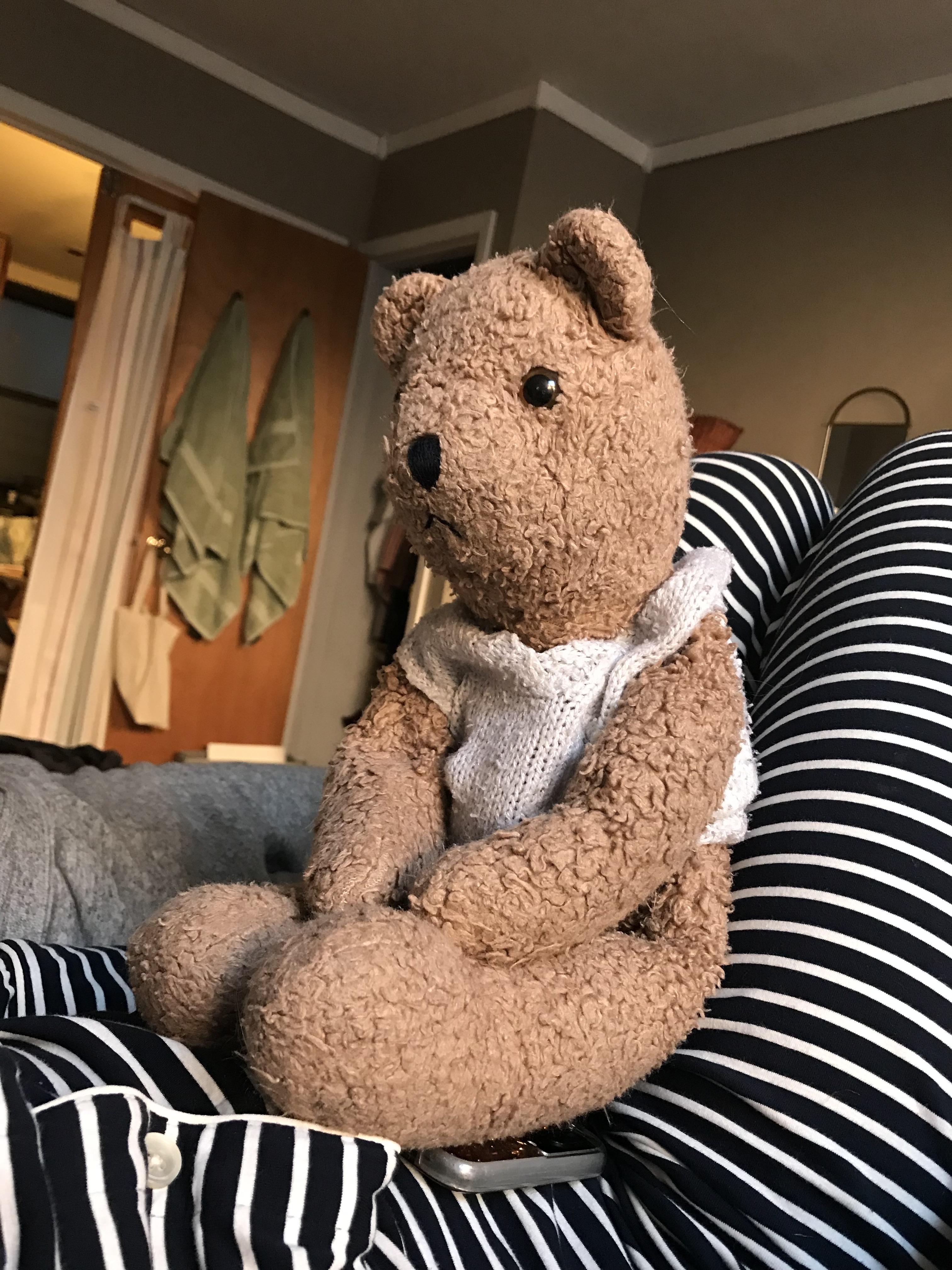 Help finding the brand of this teddy bear and where it can be purchased ...