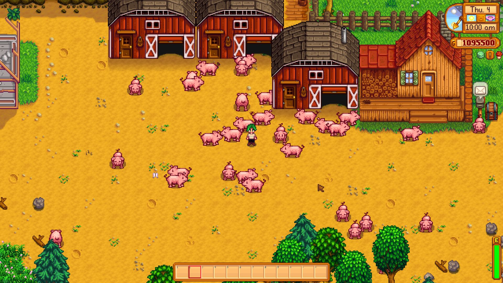 help I have 30-50 feral hogs in my yard | Scrolller