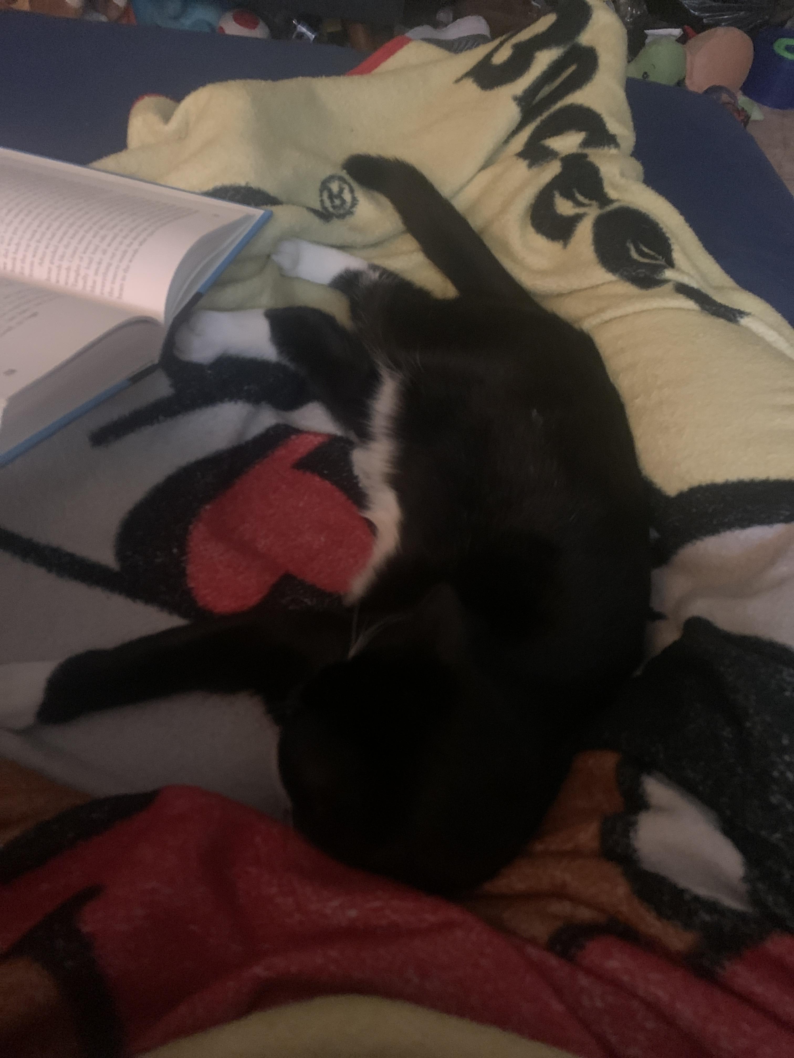 Help I’m stuck | Scrolller