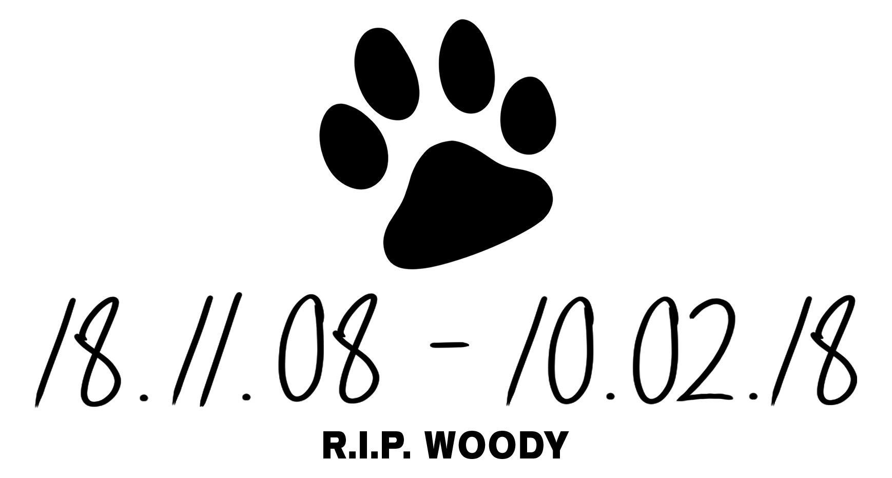 Help with a font | Scrolller