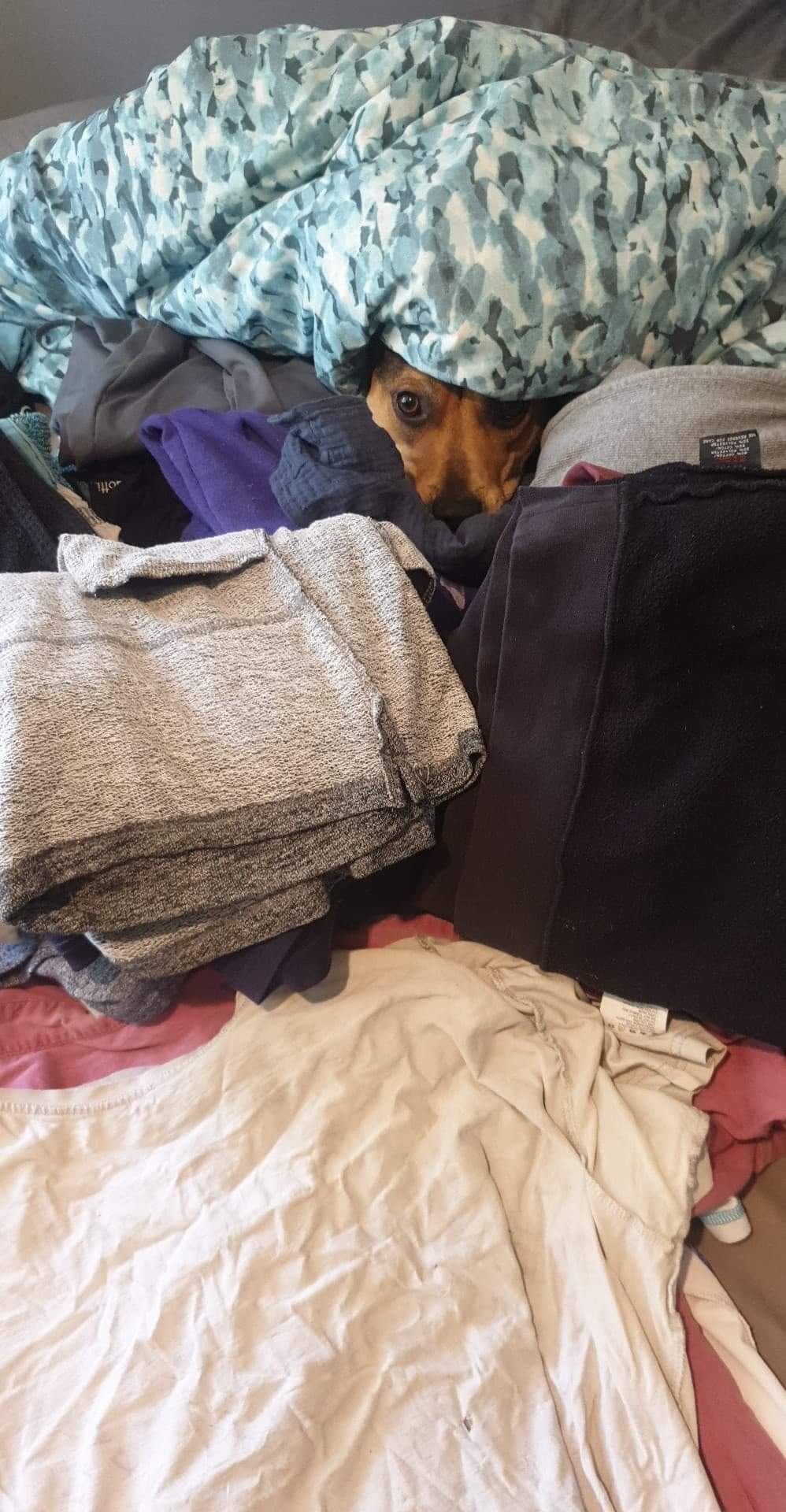 Helping sort the washing. | Scrolller