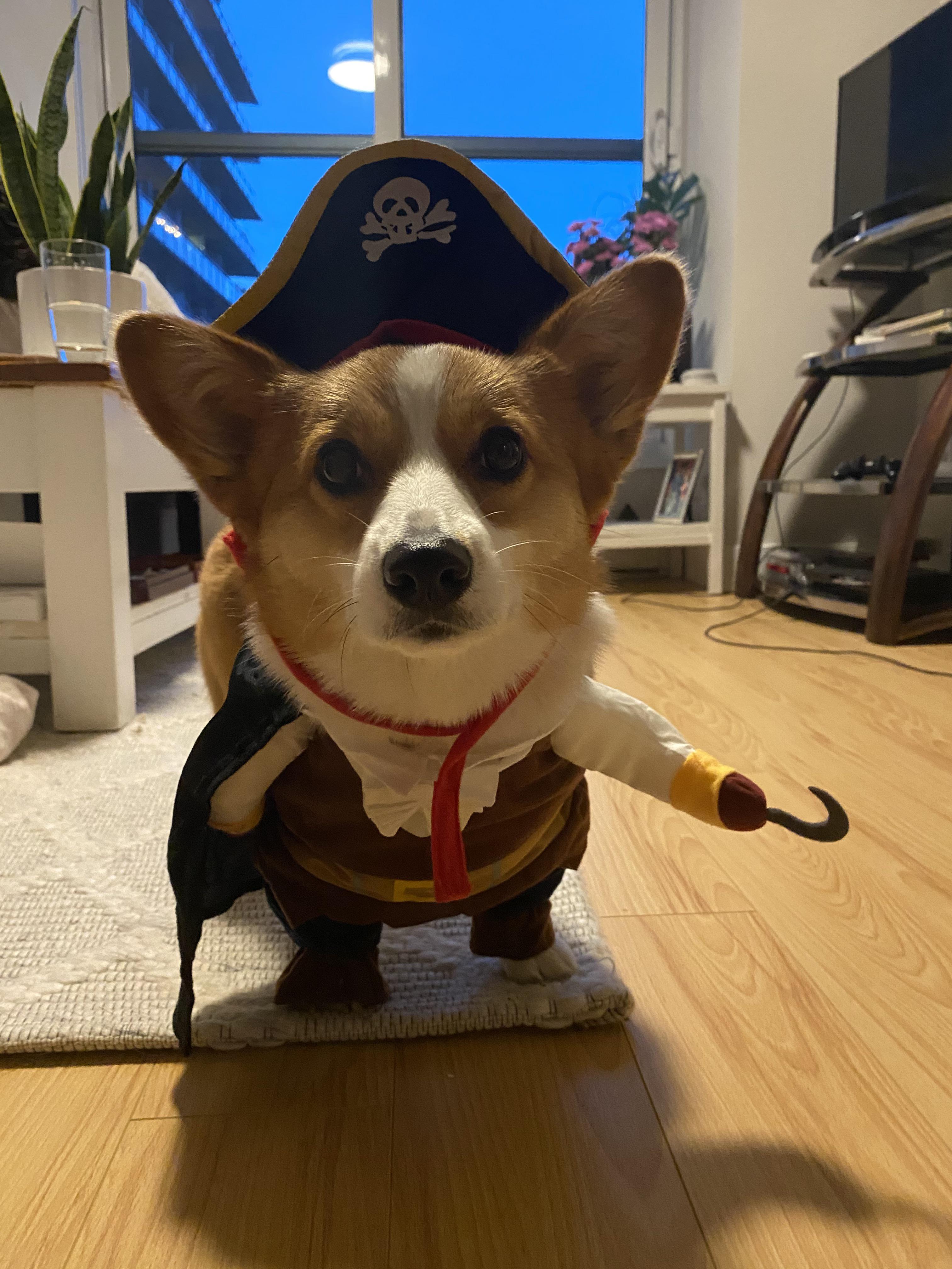 Henlo, frens | Scrolller