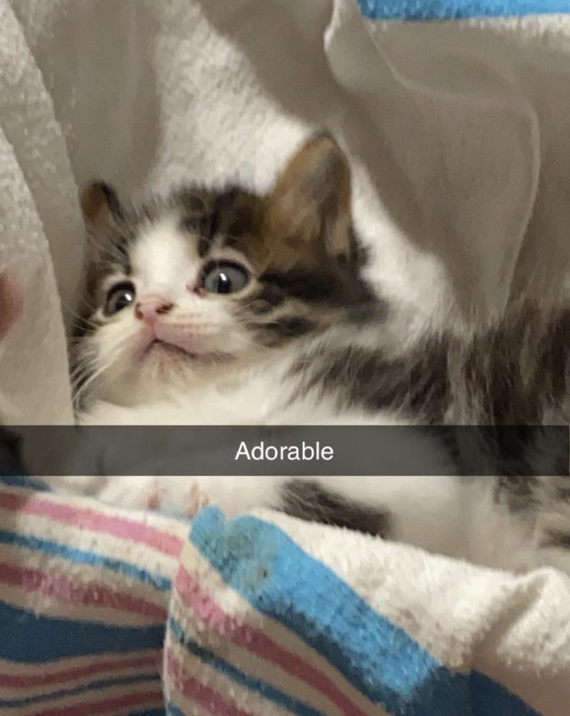 her name is Eileen | Scrolller