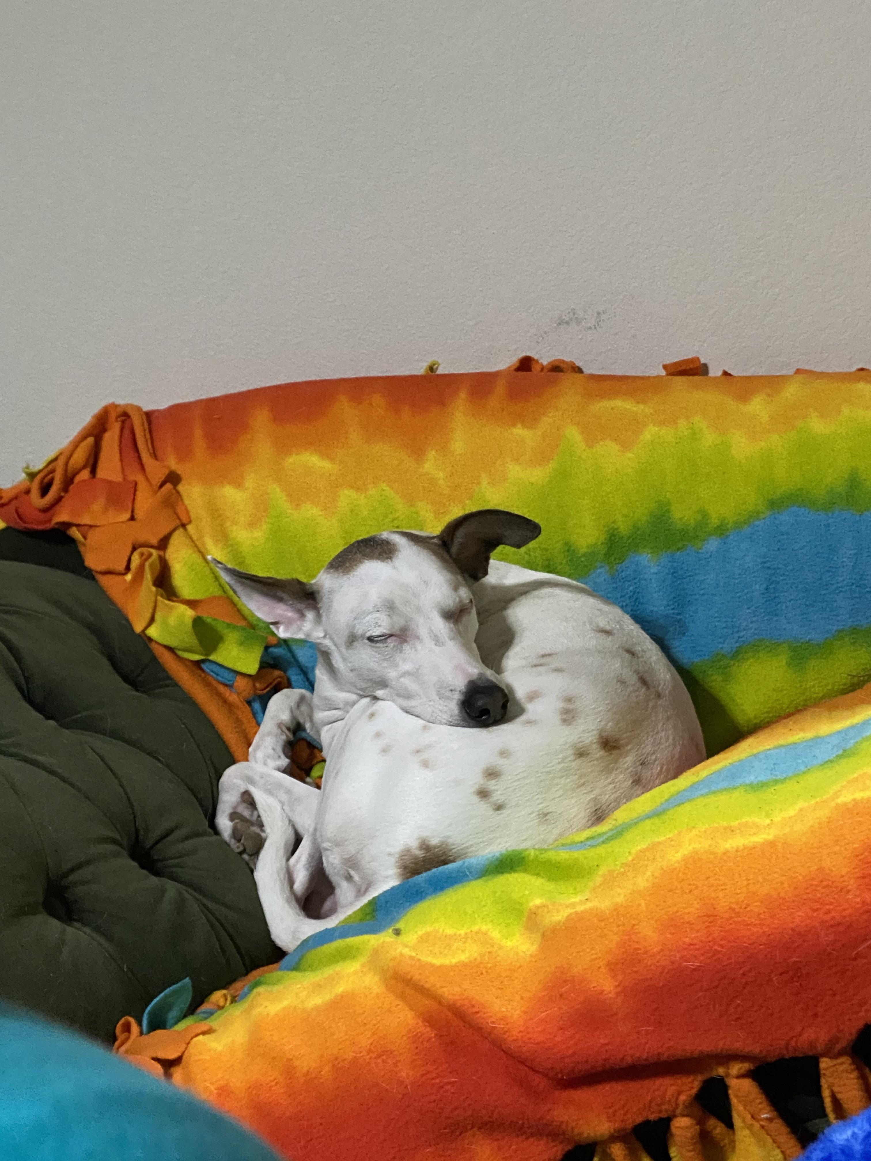 Her preferred sleeping position | Scrolller