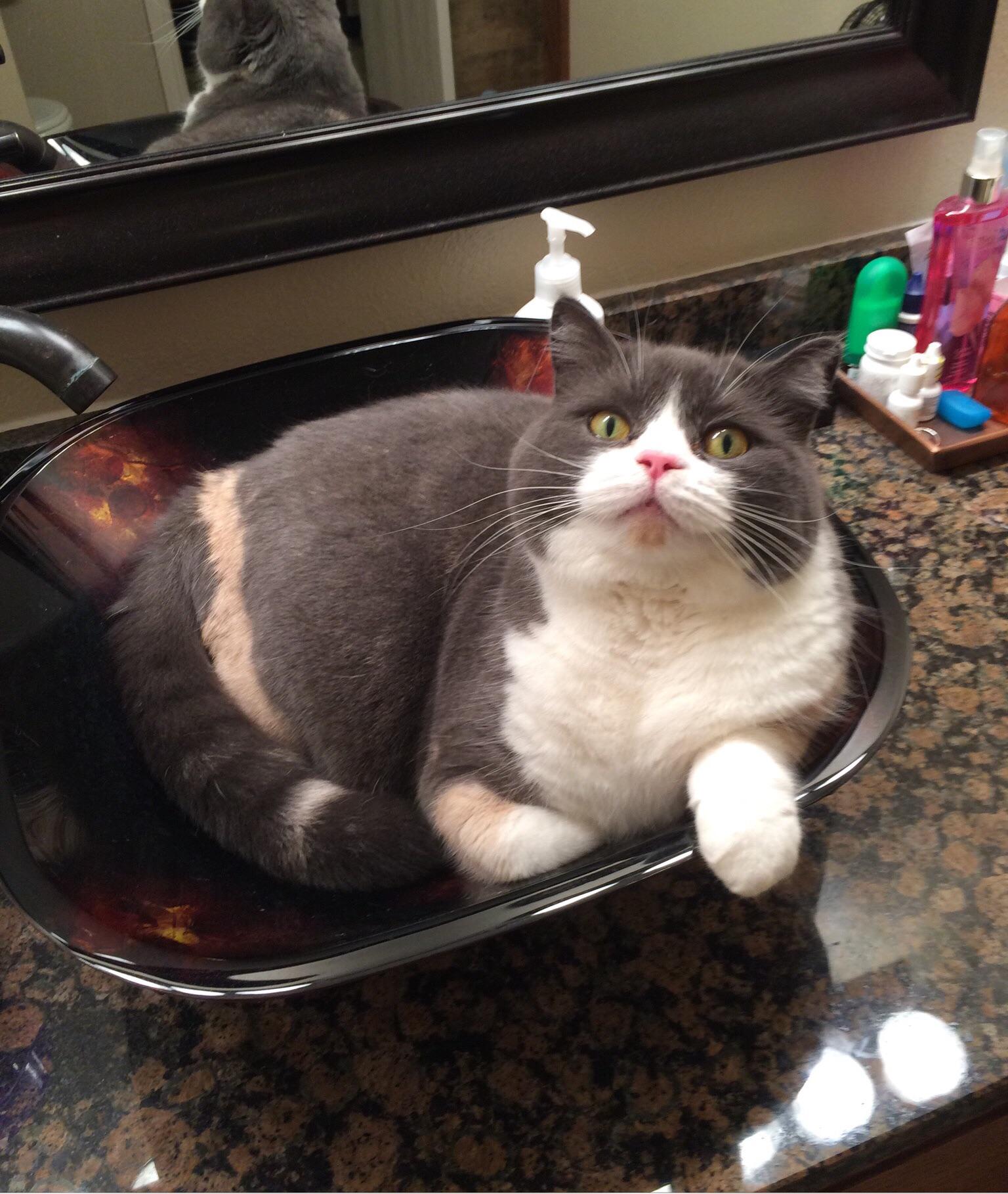 Her Royal Highness. | Scrolller