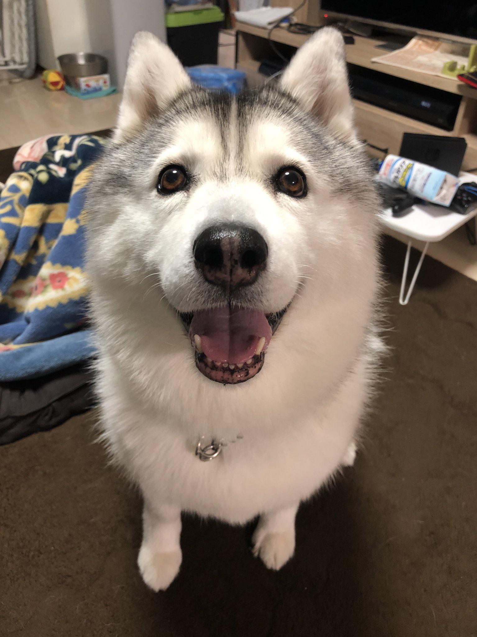 Her smile is so contagious | Scrolller