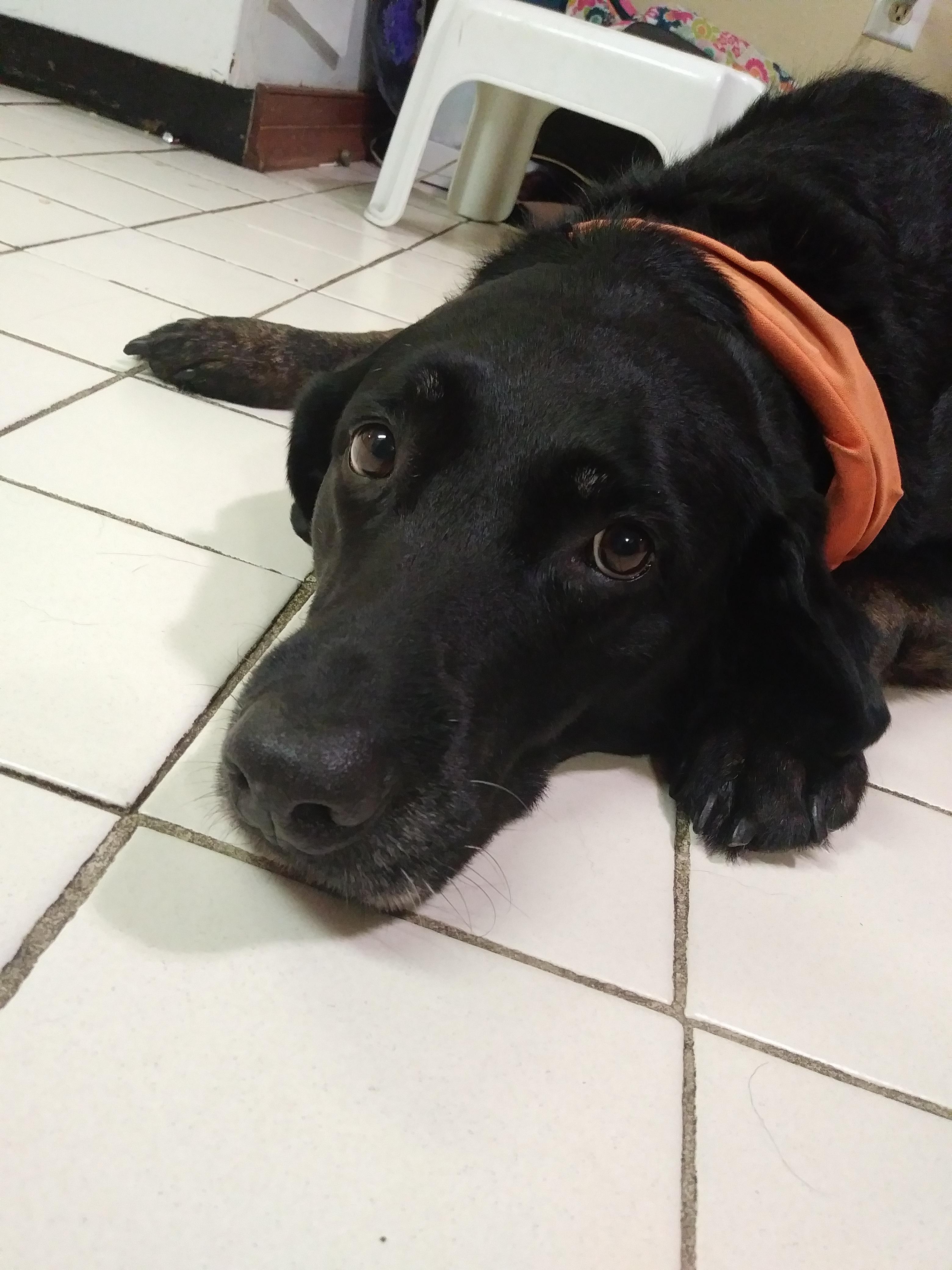 Here is my favorite animal | Scrolller