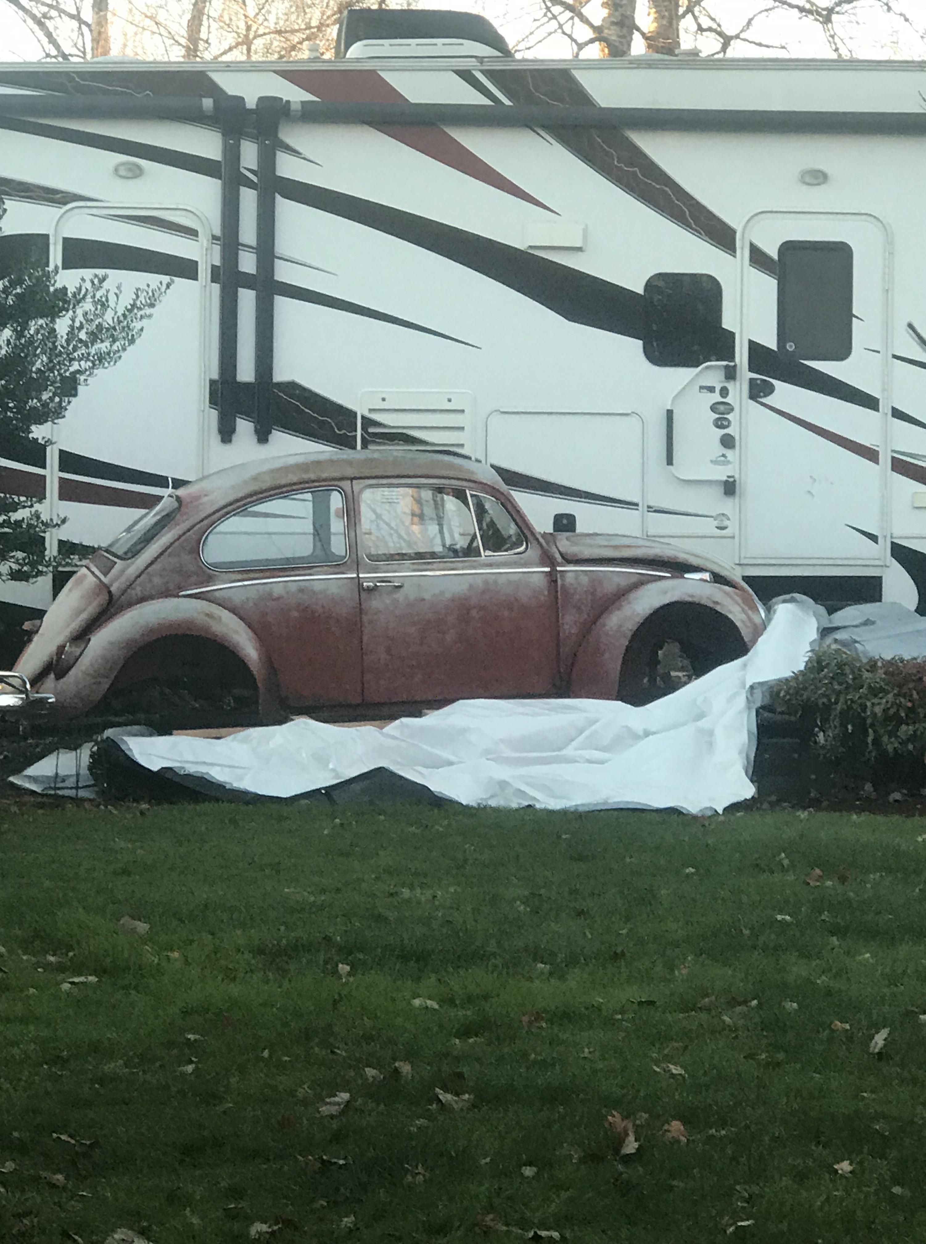 Here is my restoration project | Scrolller