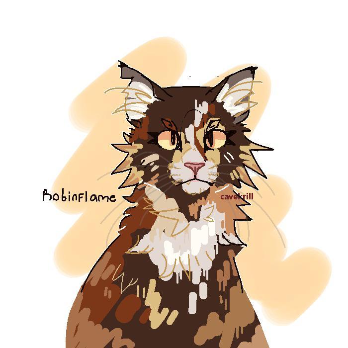 here is my warrior oc! Robinflame:-) | Scrolller