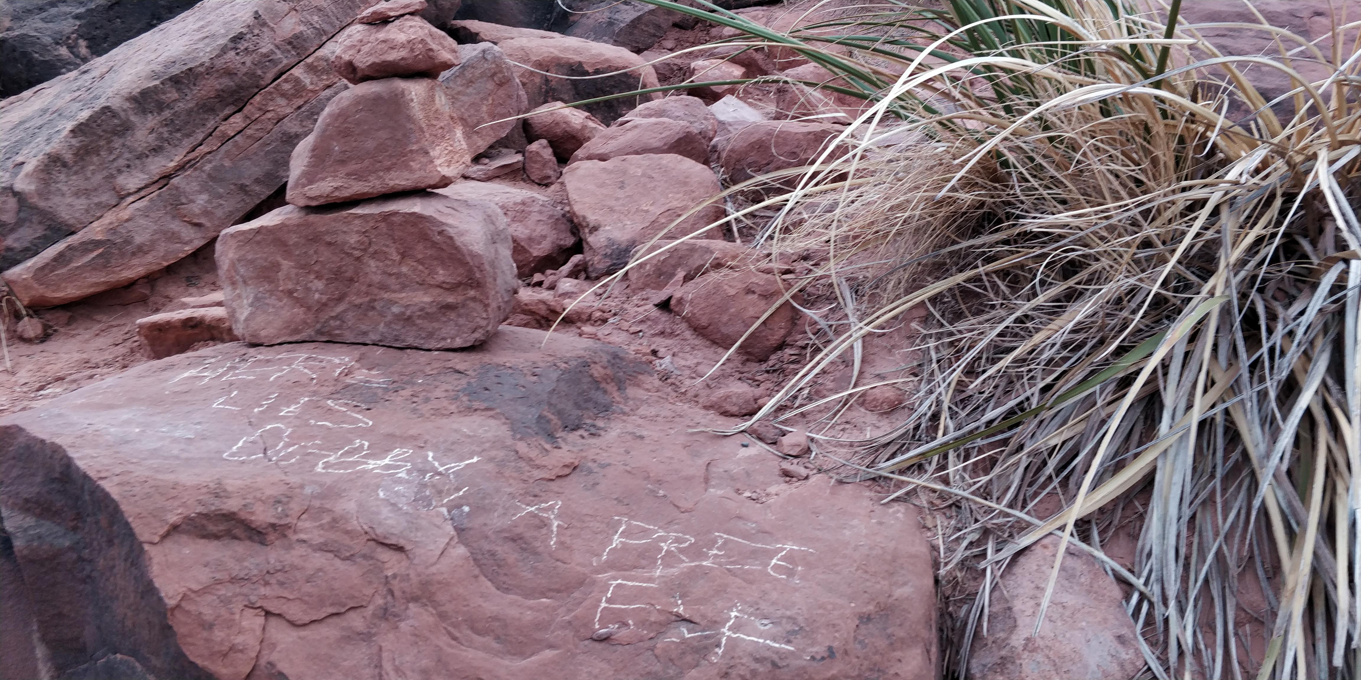 Here lies dobby, a free elf!!! | Scrolller