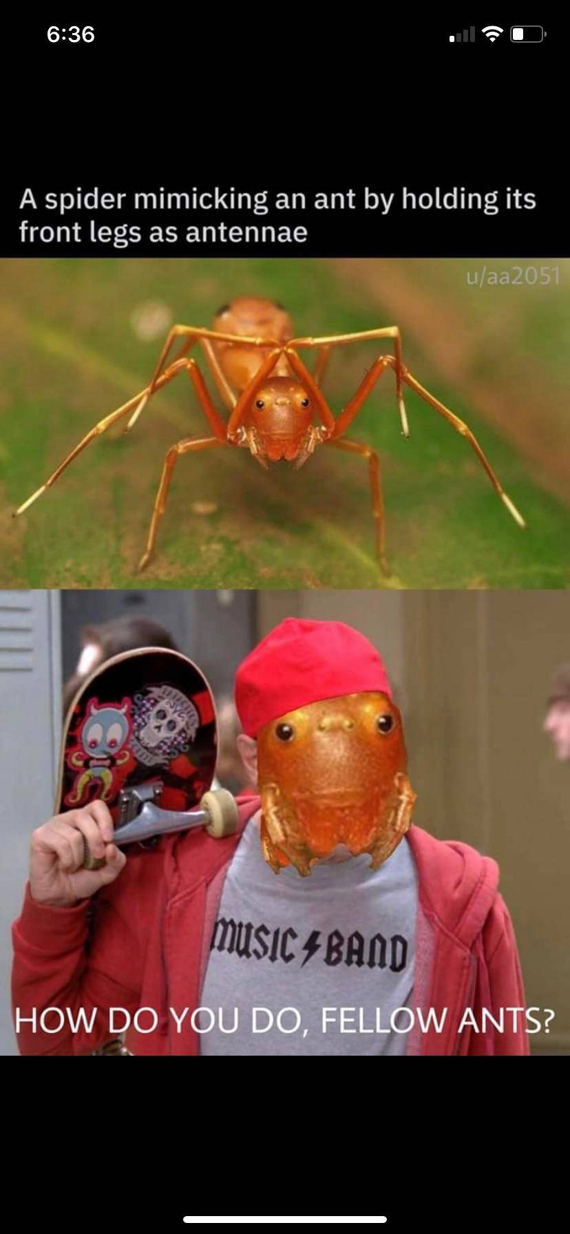 Here’s something mildly interesting | Scrolller