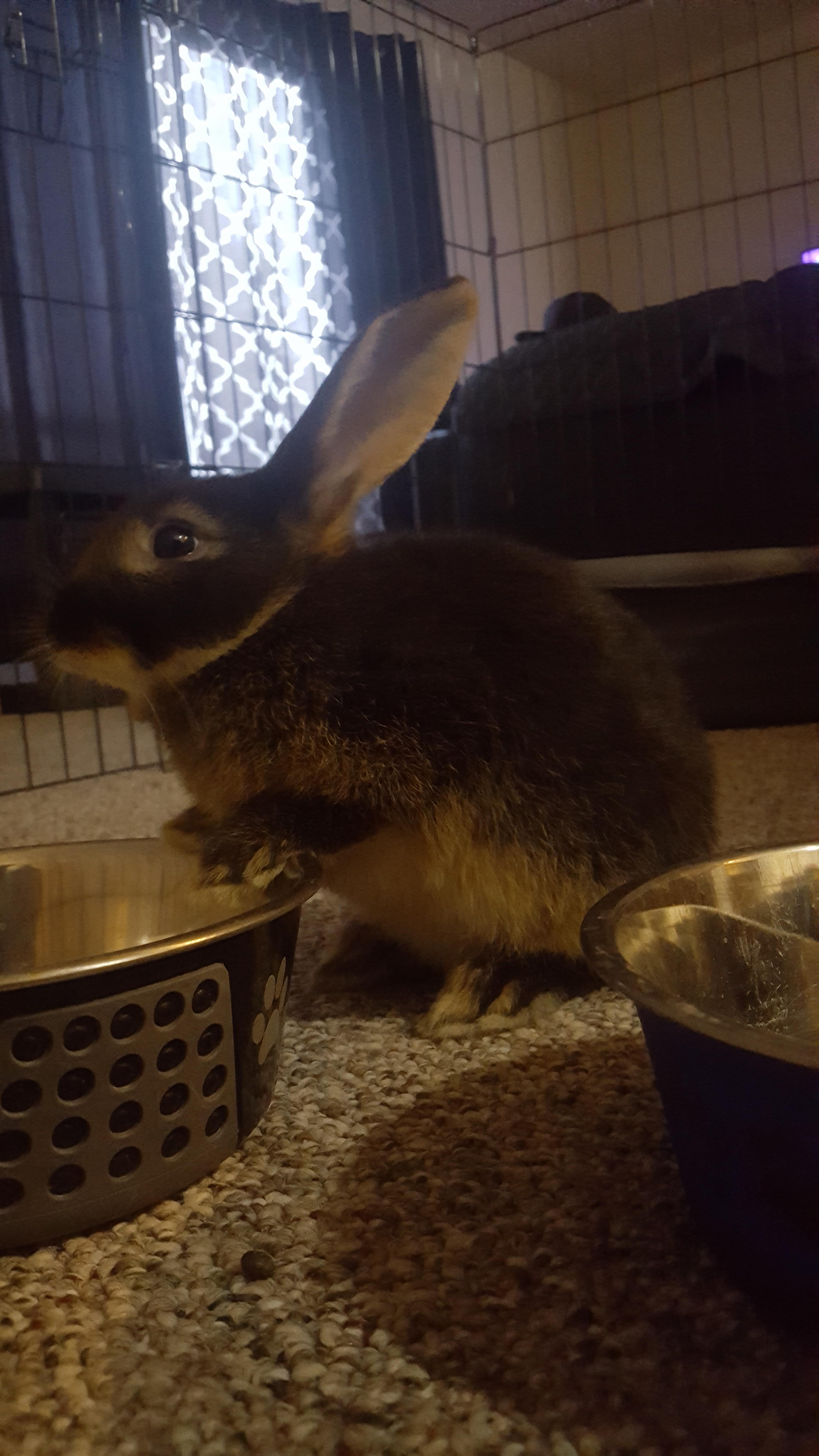 🎶🎵 here she comes to wreck the daaaay🎵🎶 😀😁 | Scrolller