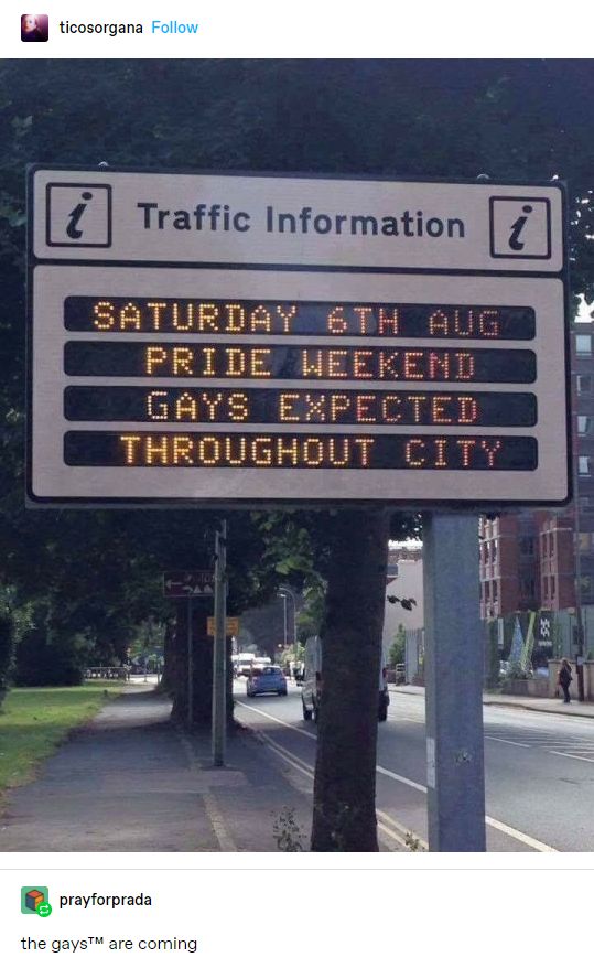 here they come | Scrolller