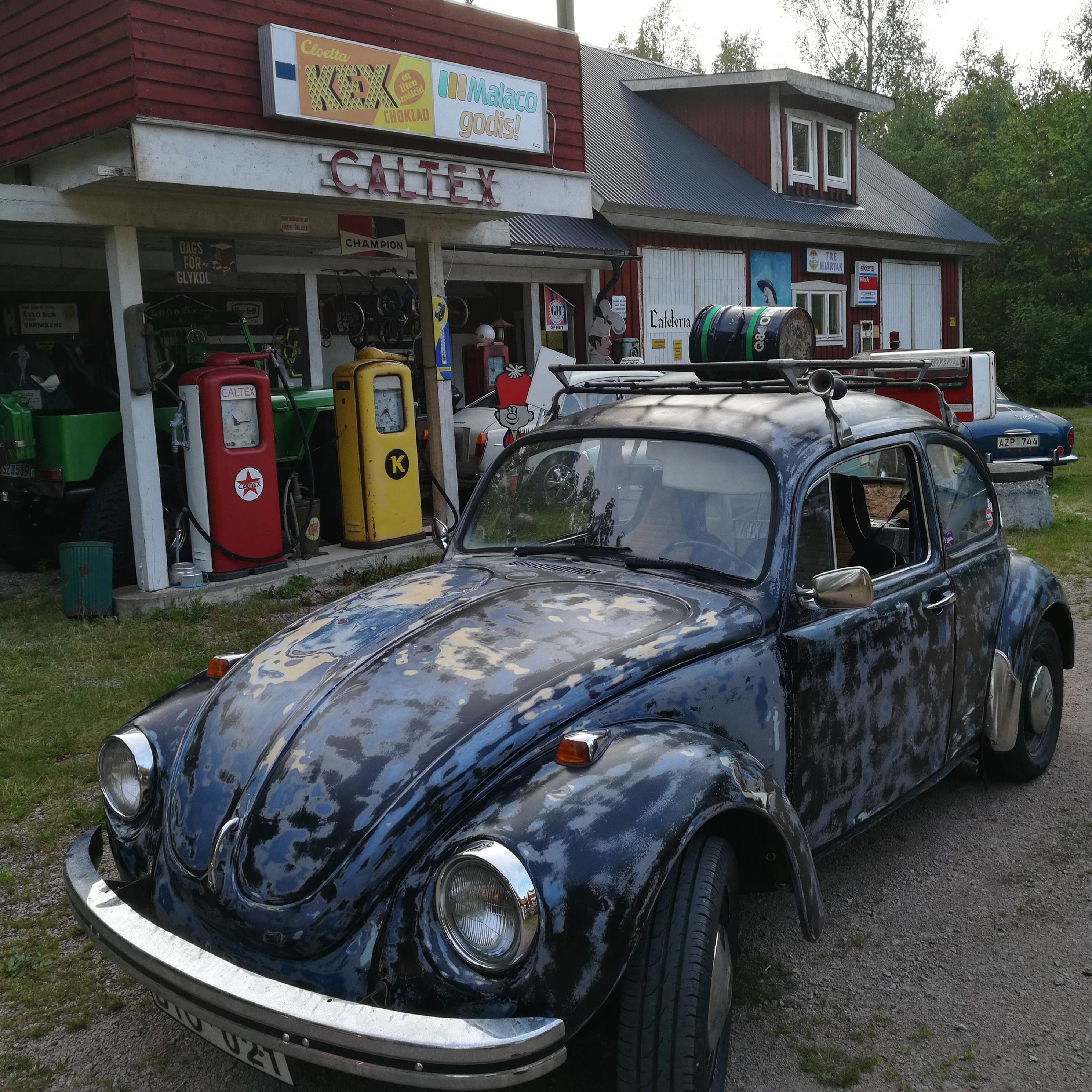 Here's my beetle! | Scrolller