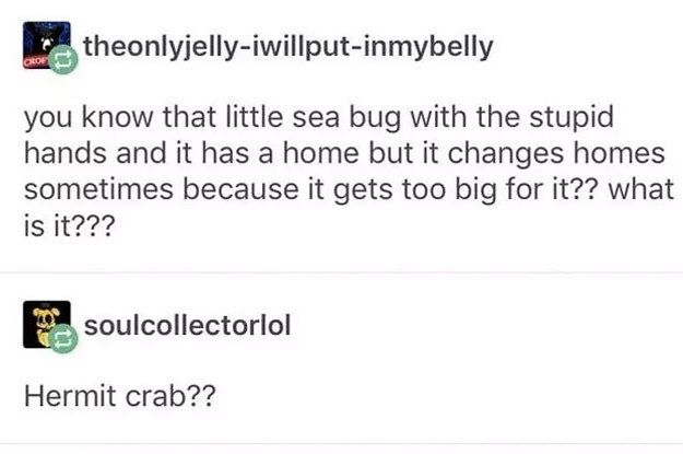 Hermit crab | Scrolller