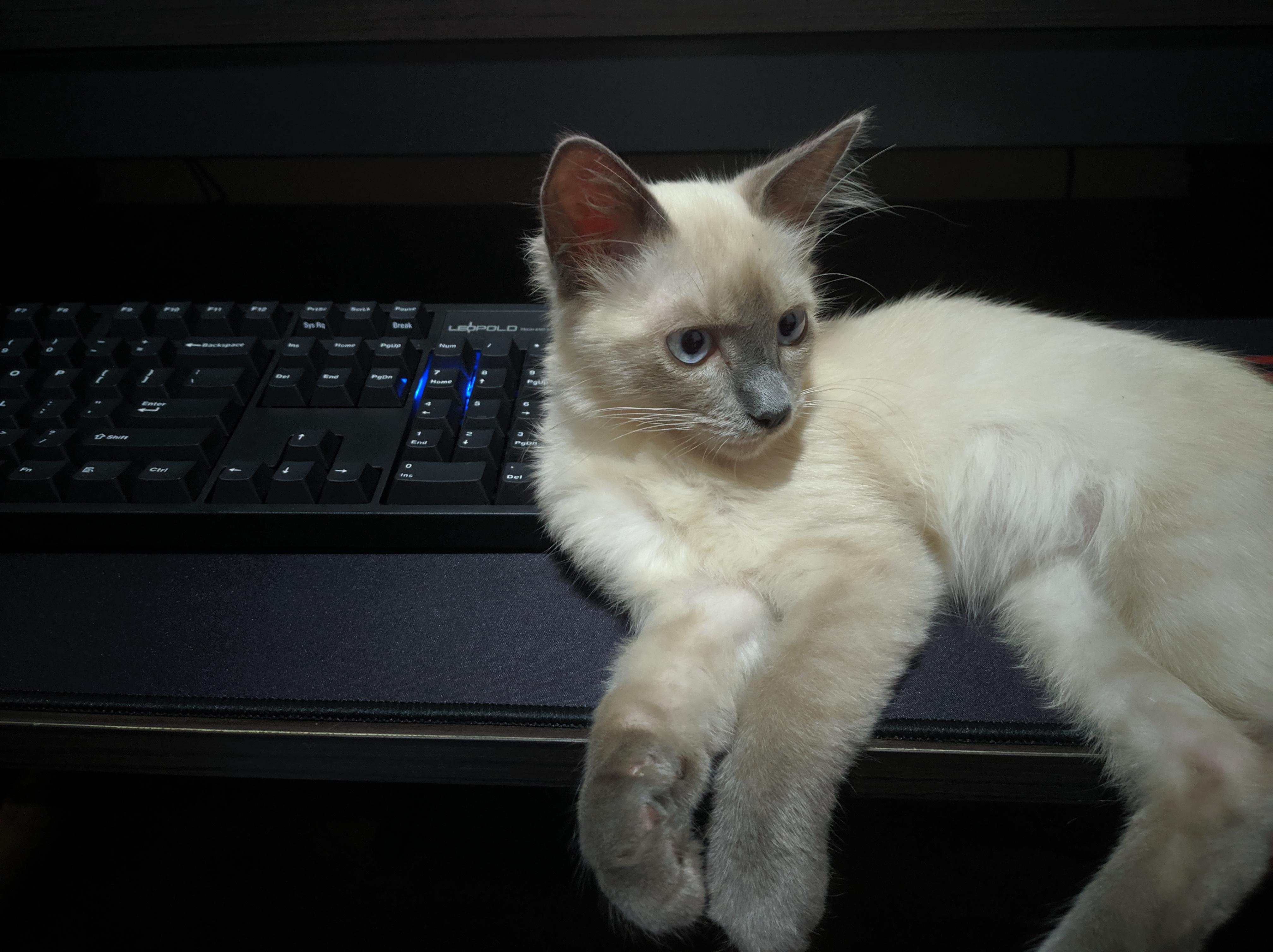 He's growing quickly! | Scrolller