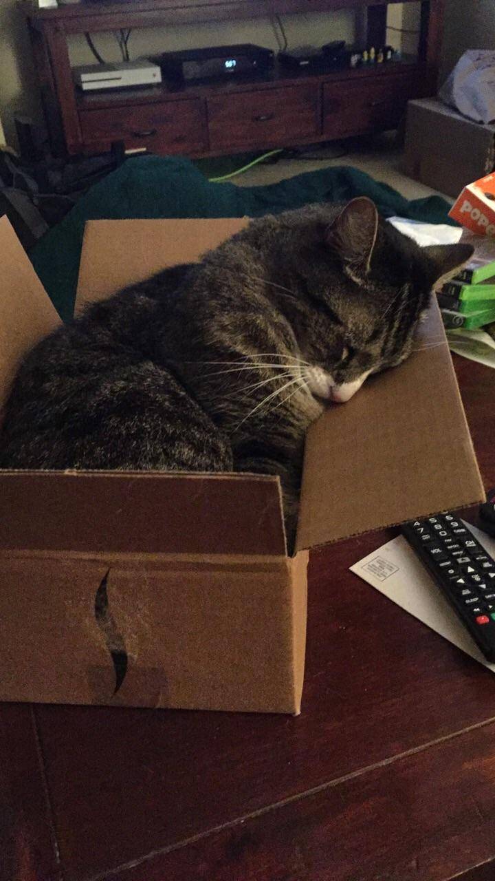 He's sleepy | Scrolller