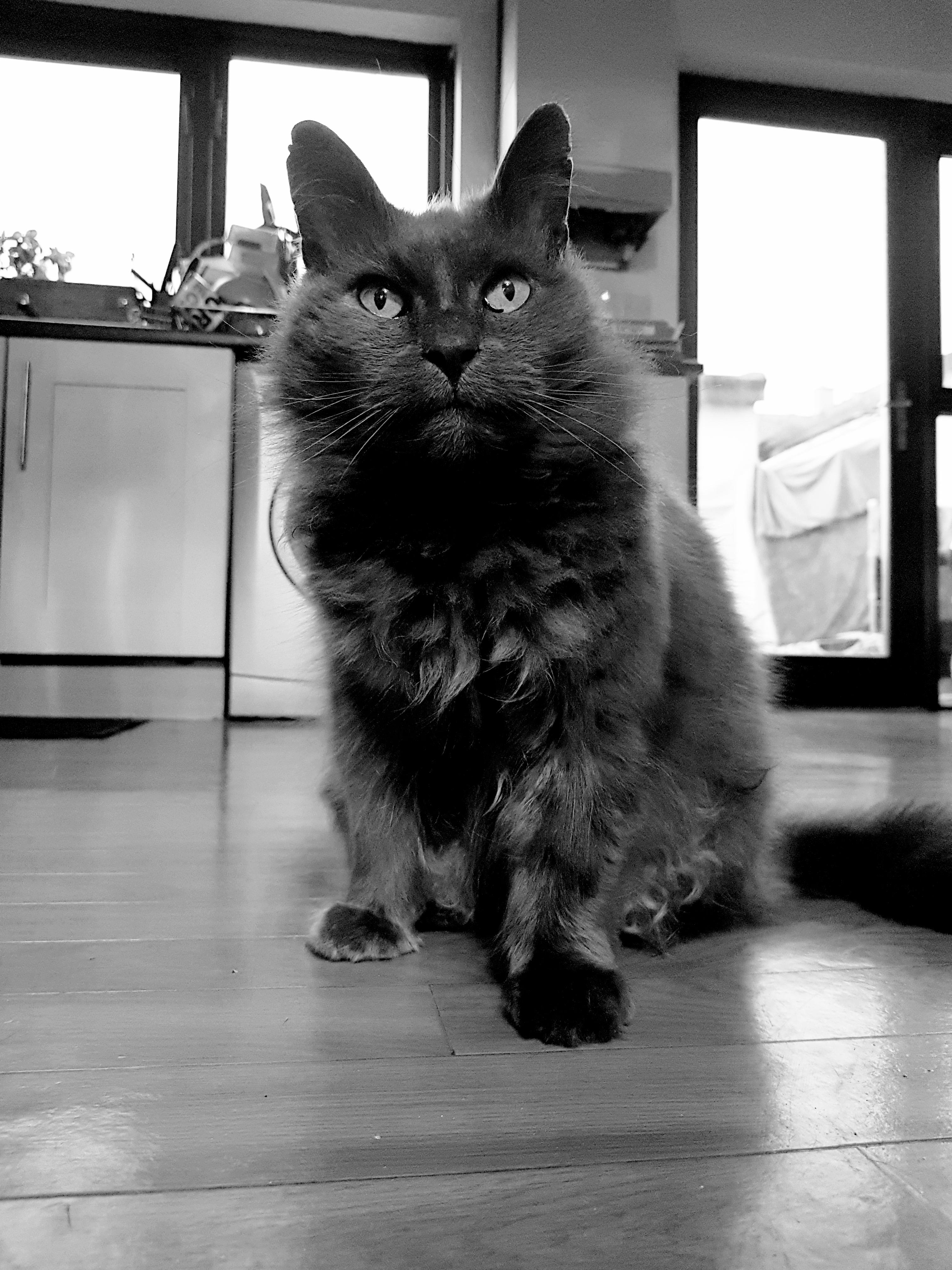 He's such a handsome fella | Scrolller