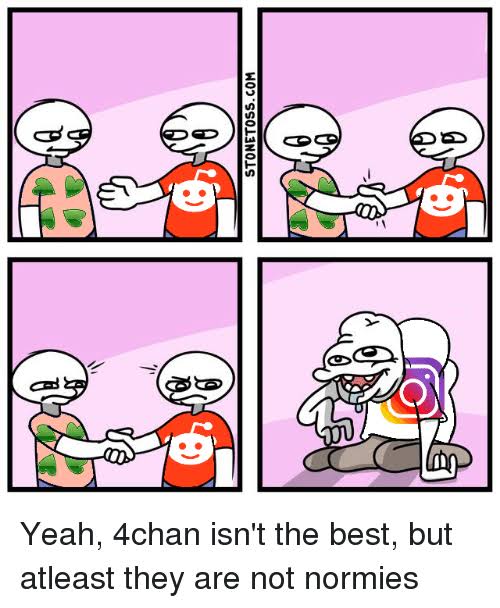 HeY gUyS lEt'S CeLeBrAtE We ArE nOt ThE "nOrMiEs" 👊 | Scrolller