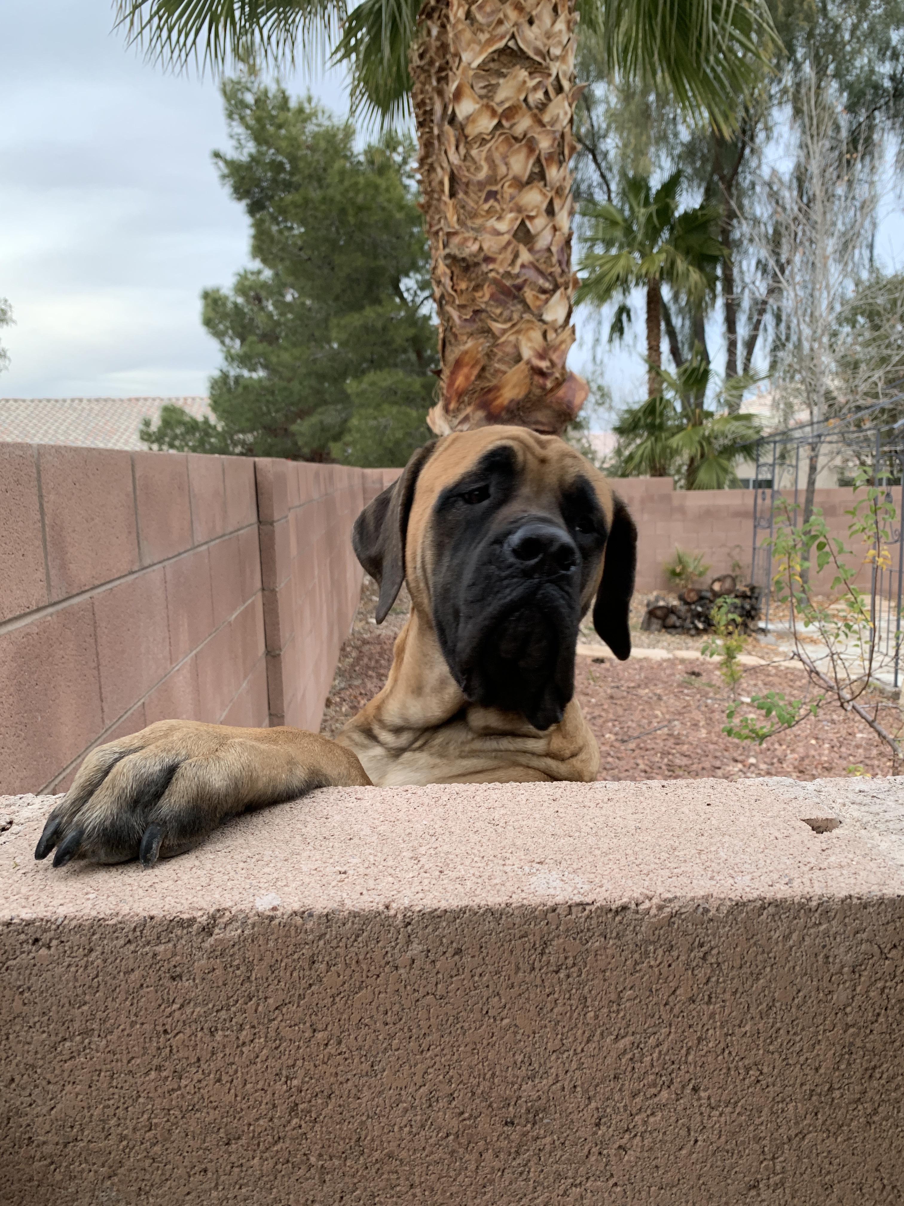 Hey, Mum, whatcha doin’? | Scrolller